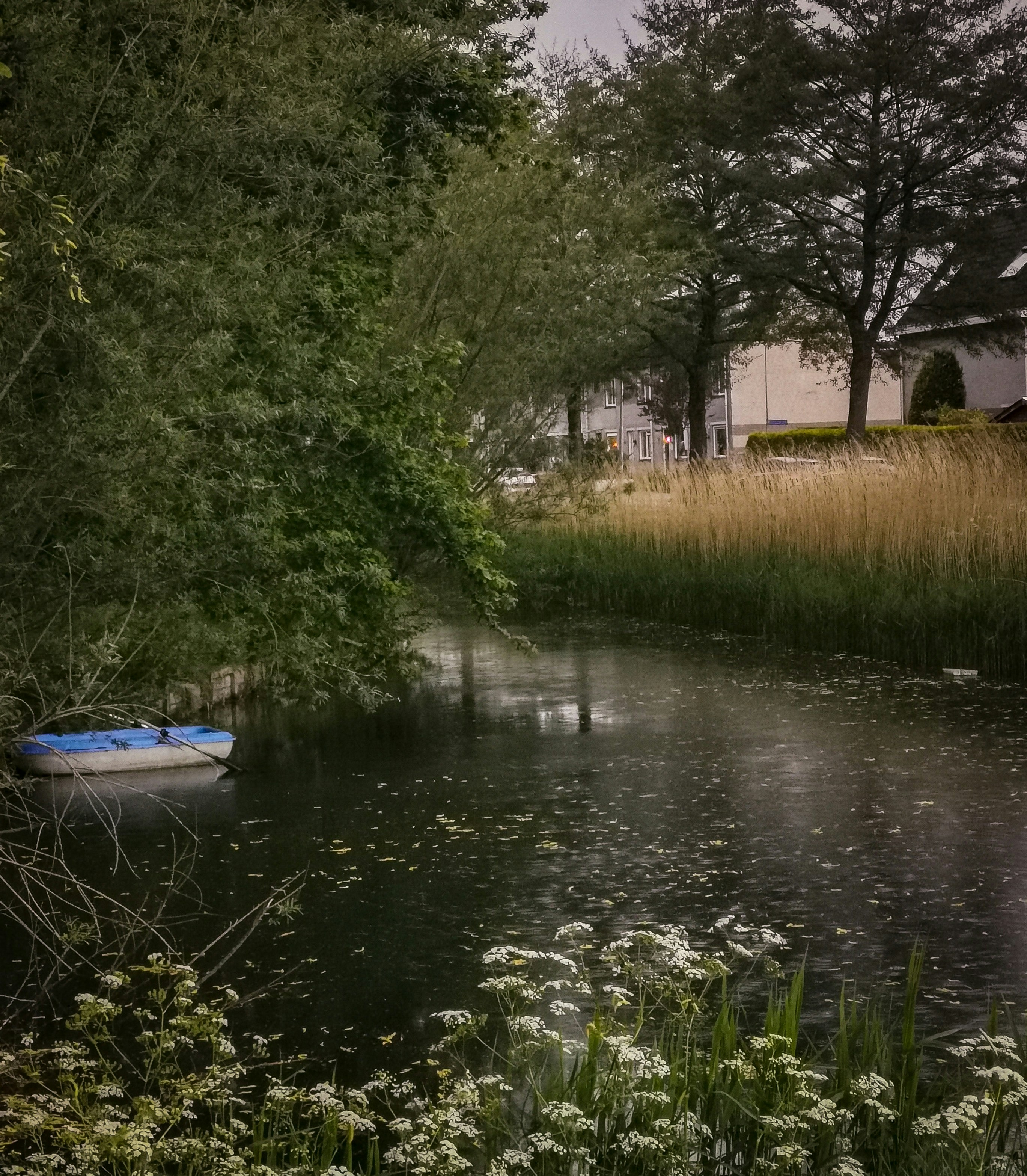 Blue boat and rain