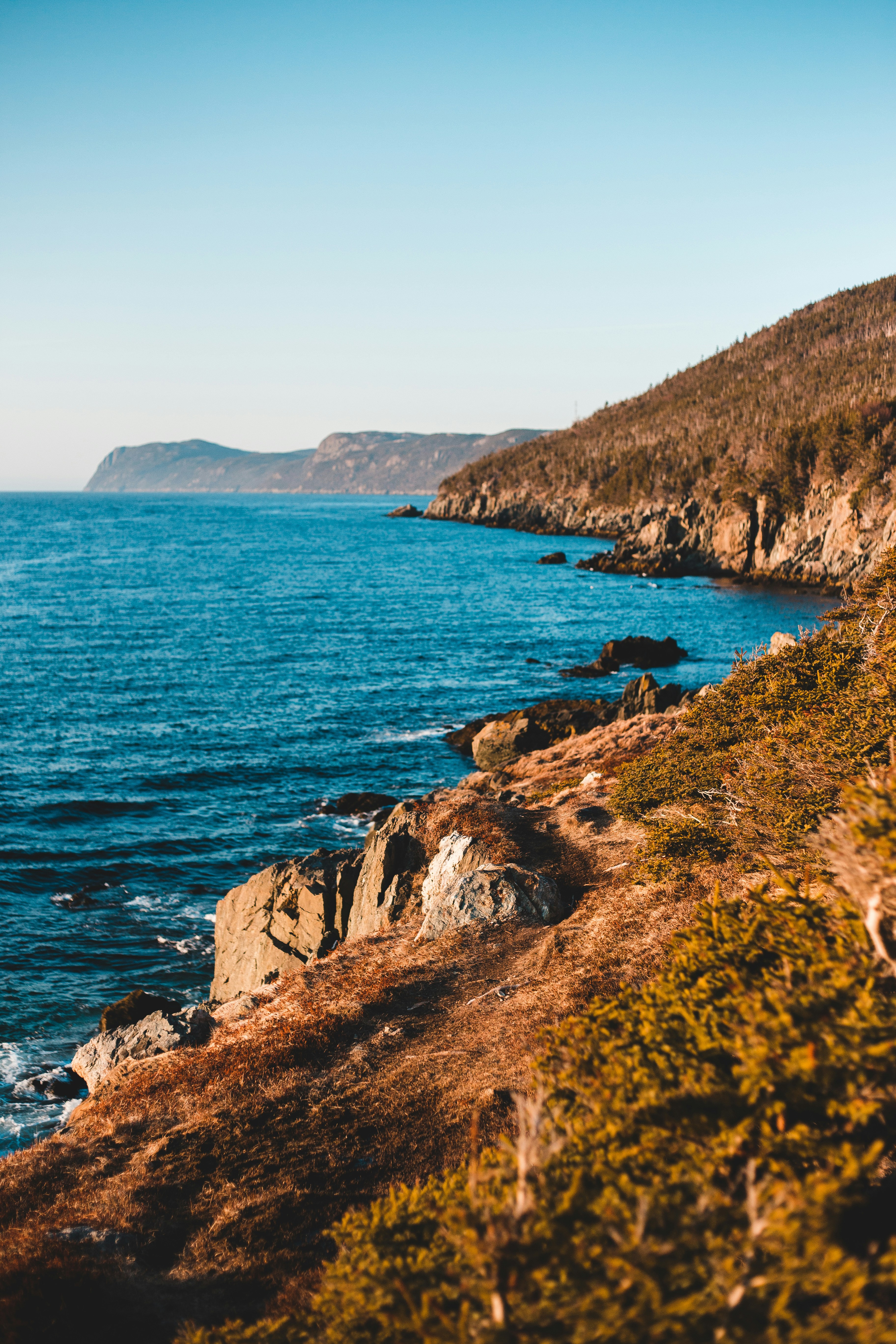 Green and brown rock formation near body of water during daytime photo ...