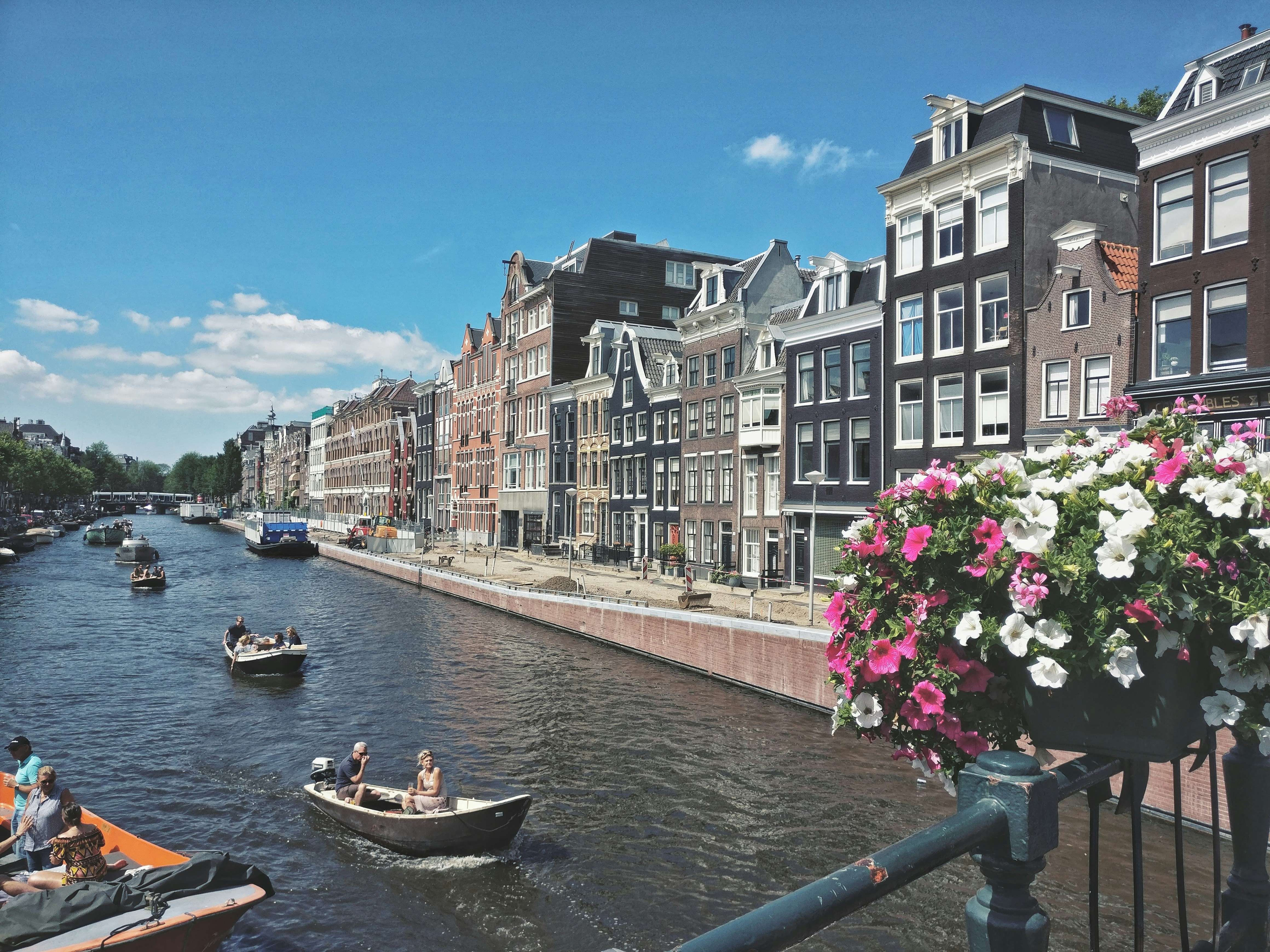 Blooming Verge Over Amsterdam's Sunlit Canal Row