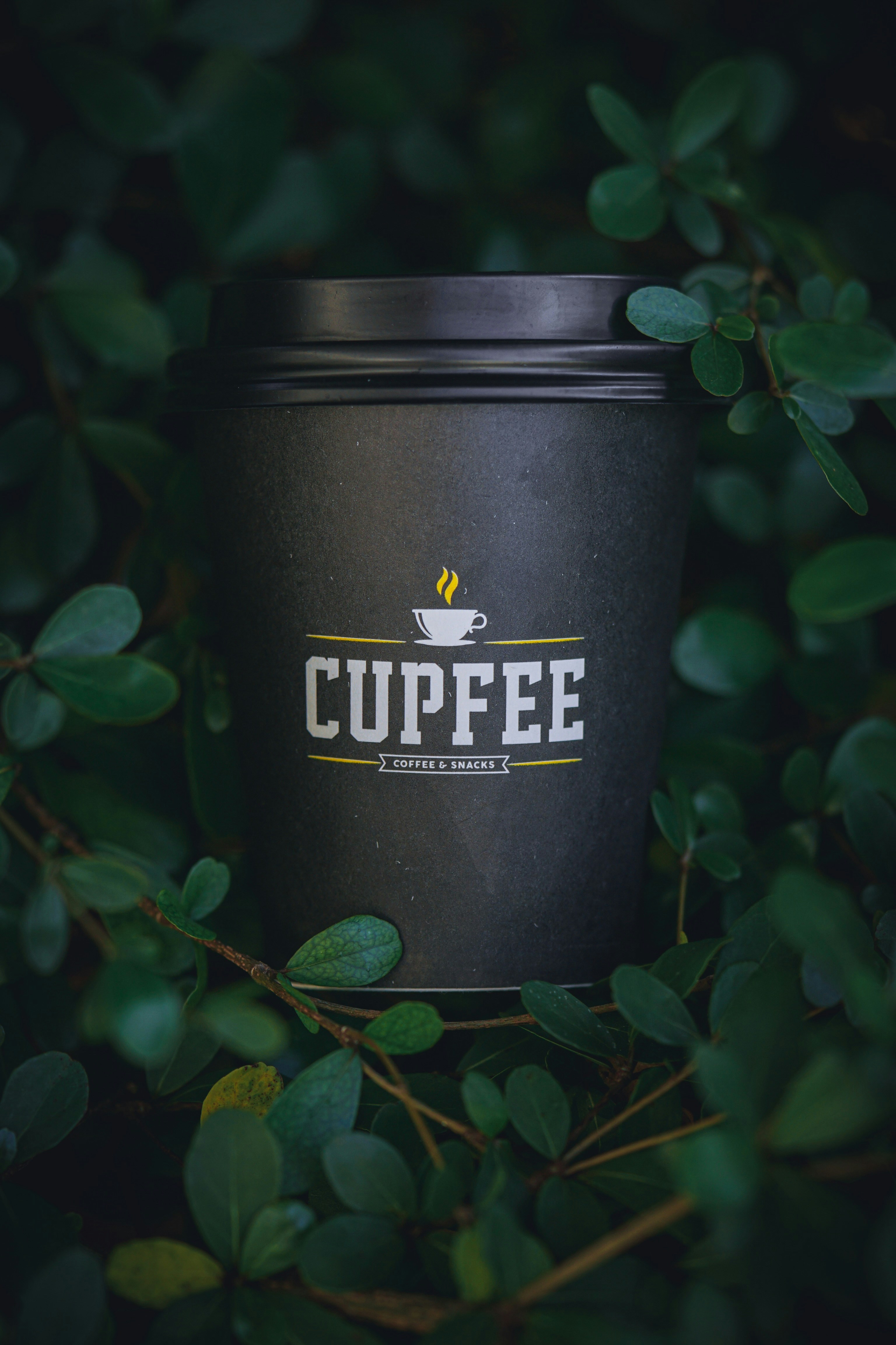 Steeped in Shadow: A Black Cup in the Green Border
