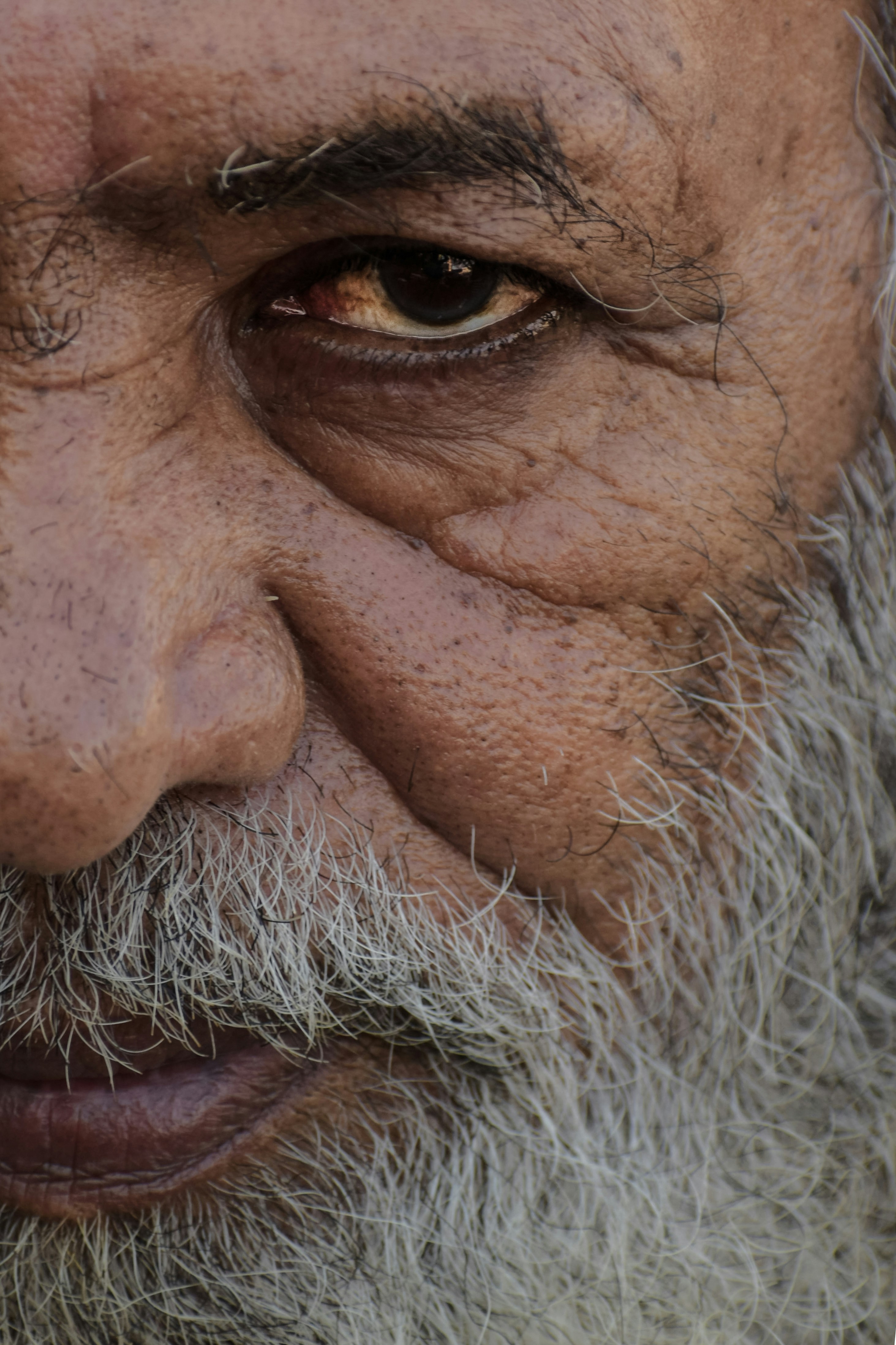 Mans face with beard photo – Free Human Image on Unsplash