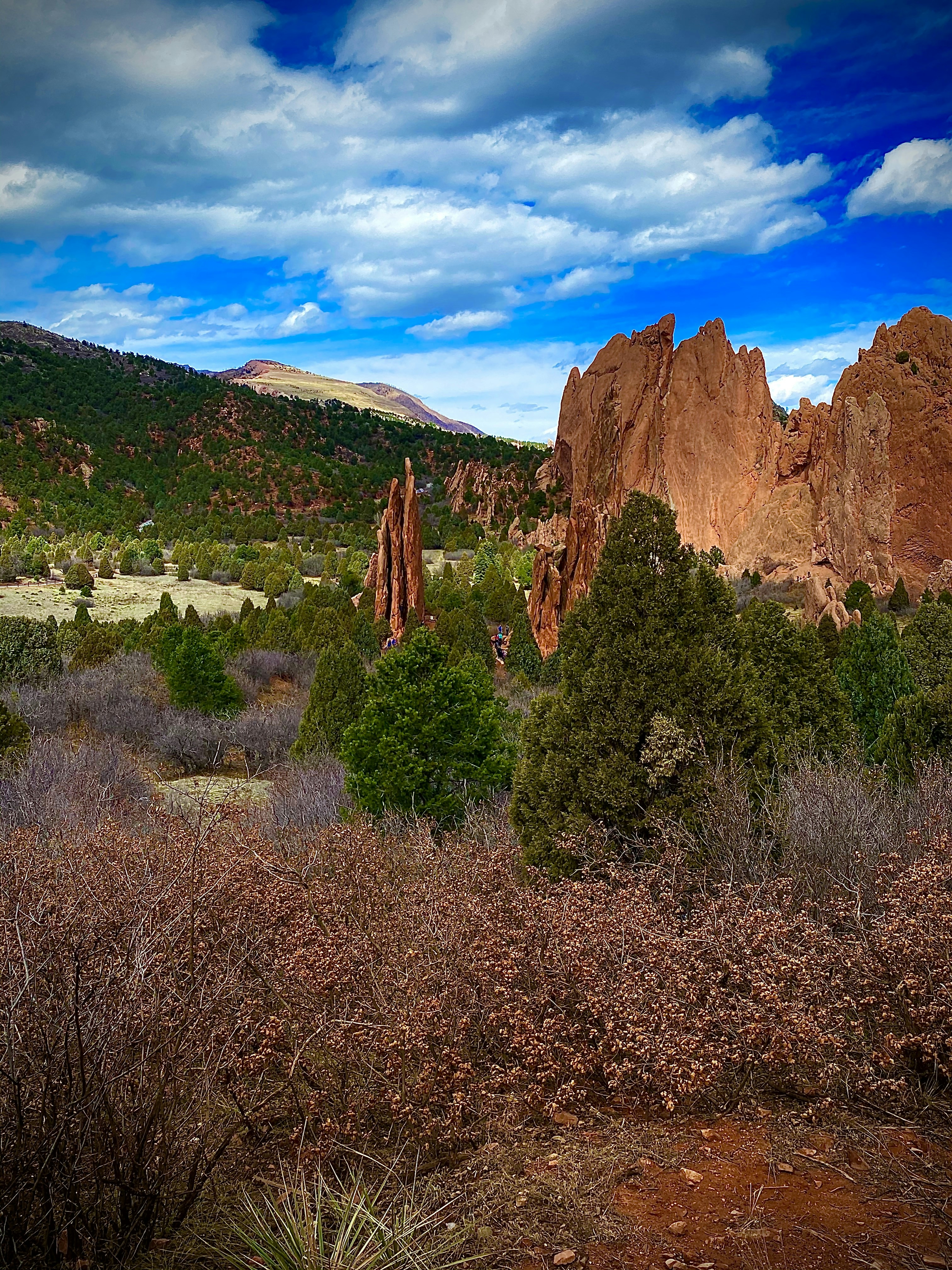 Crimson Spires Guarded by Pines Under a Cobalt Sky