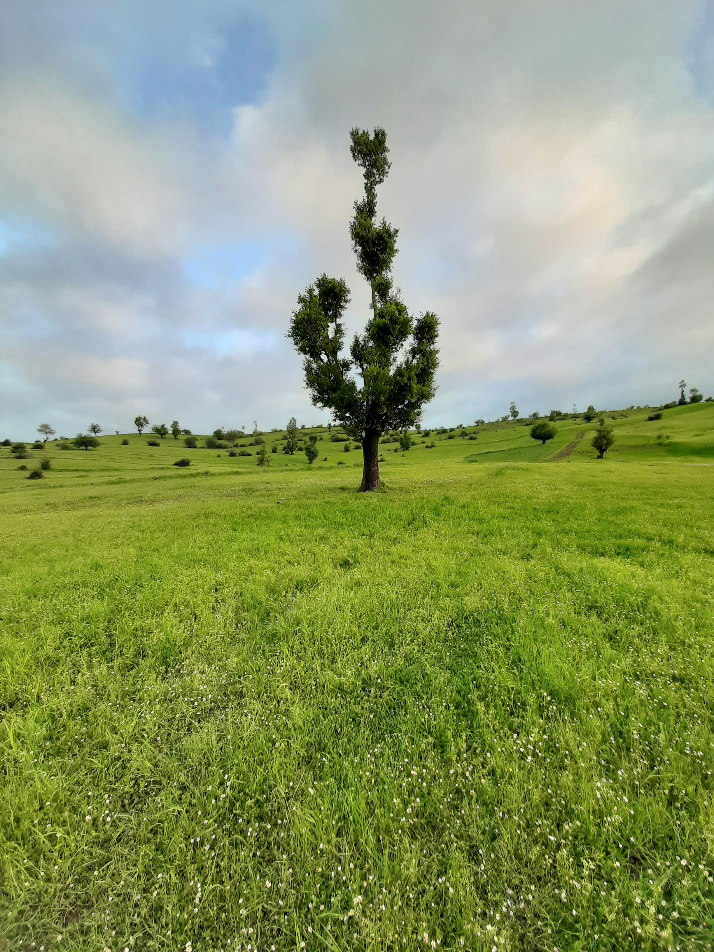 MERT MEHDI (@mert_mehdi) | Unsplash Photo Community