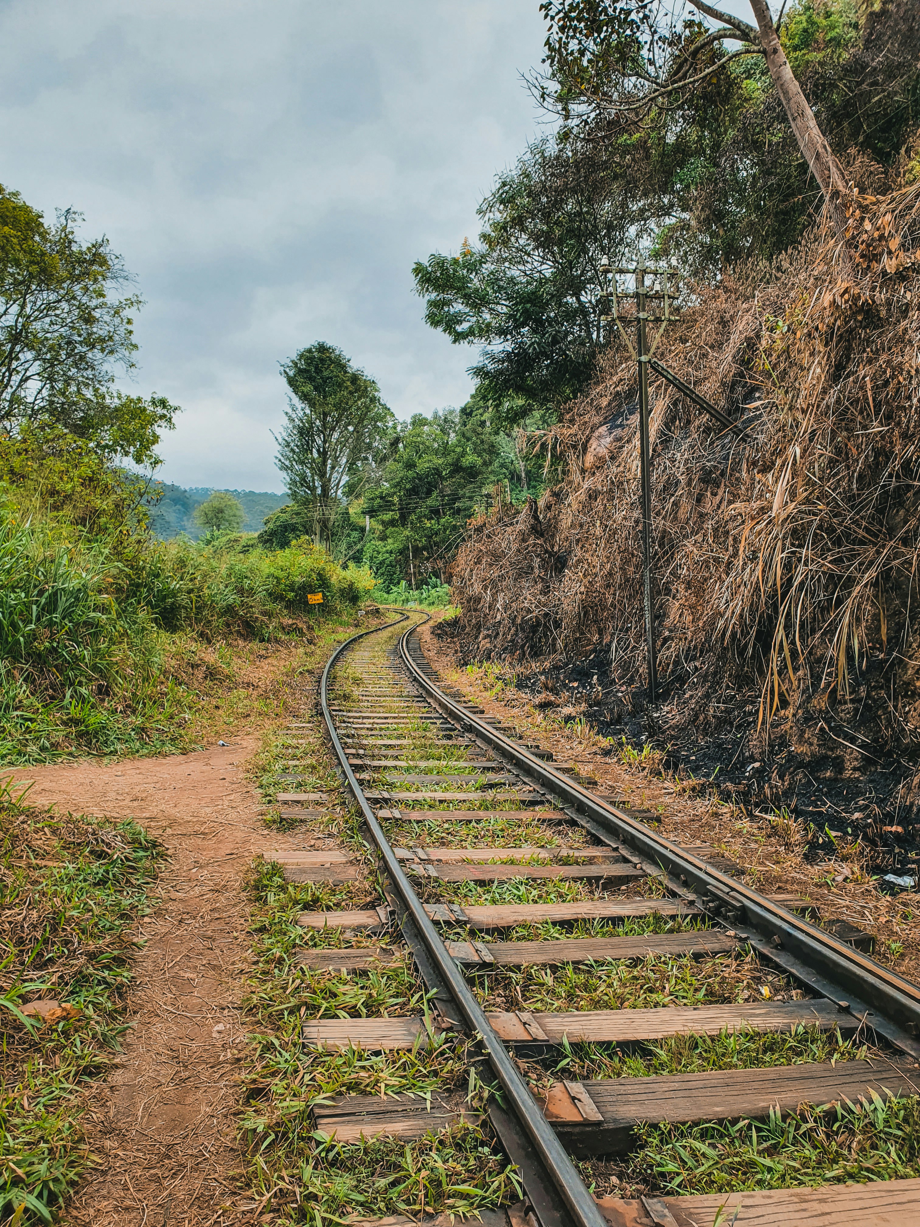 Curved Rails into the Green Horizon