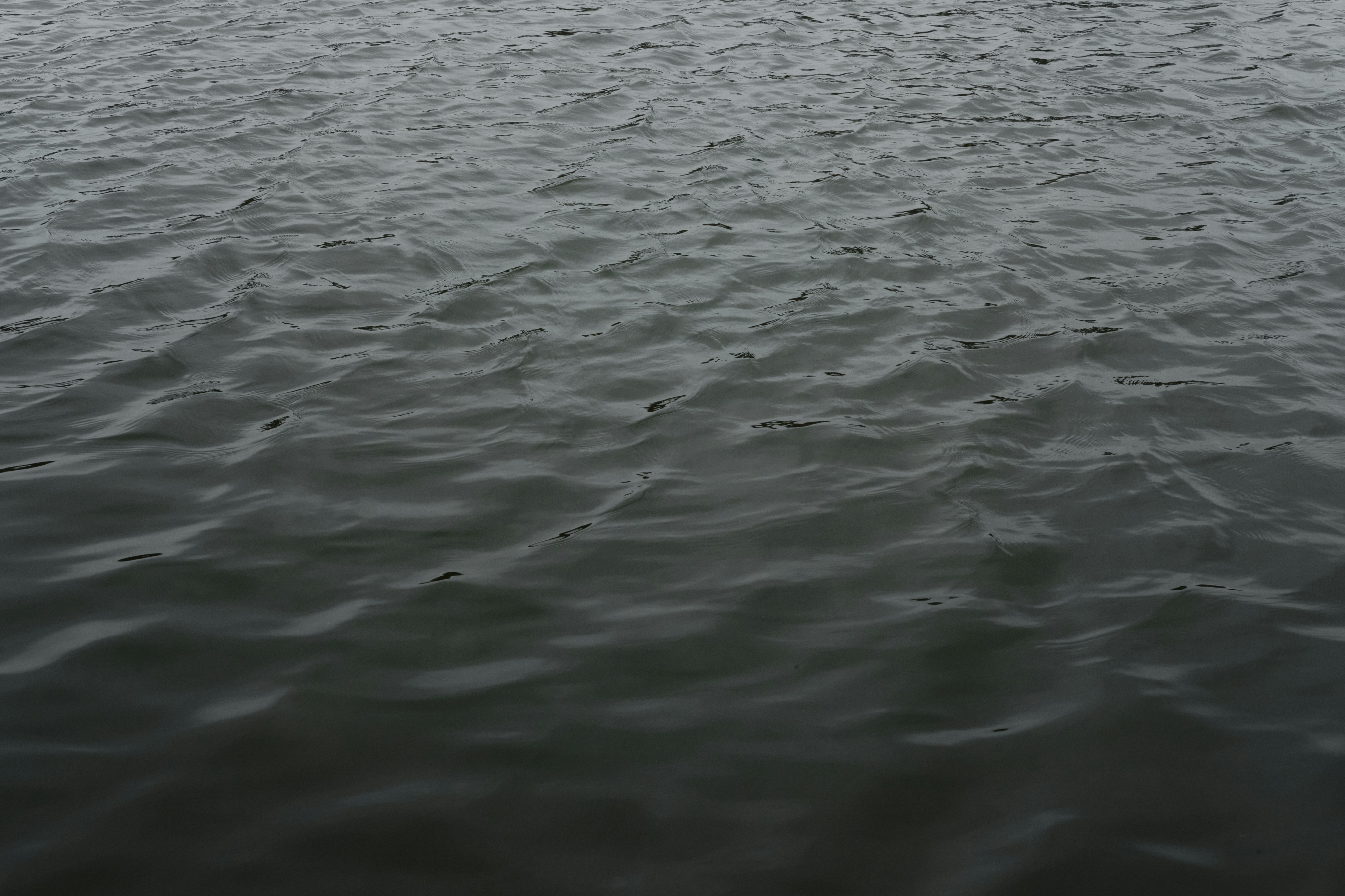 Gentle ripples on the surface of a dark body of water, creating a serene and calming atmosphere.