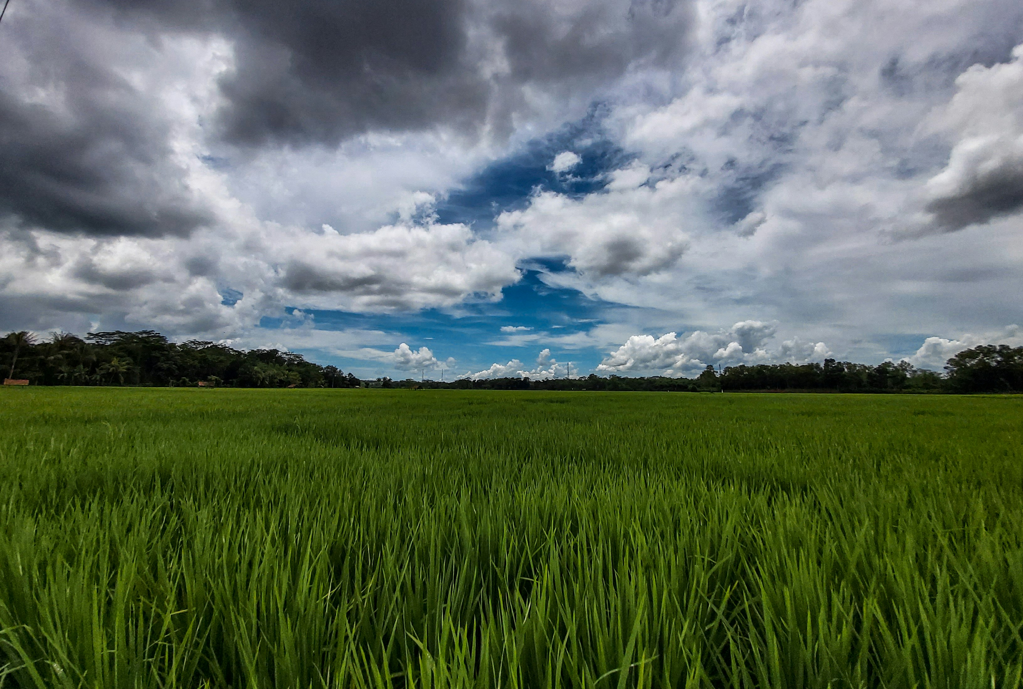 Yayan Sopian (@boyand) | Unsplash Photo Community