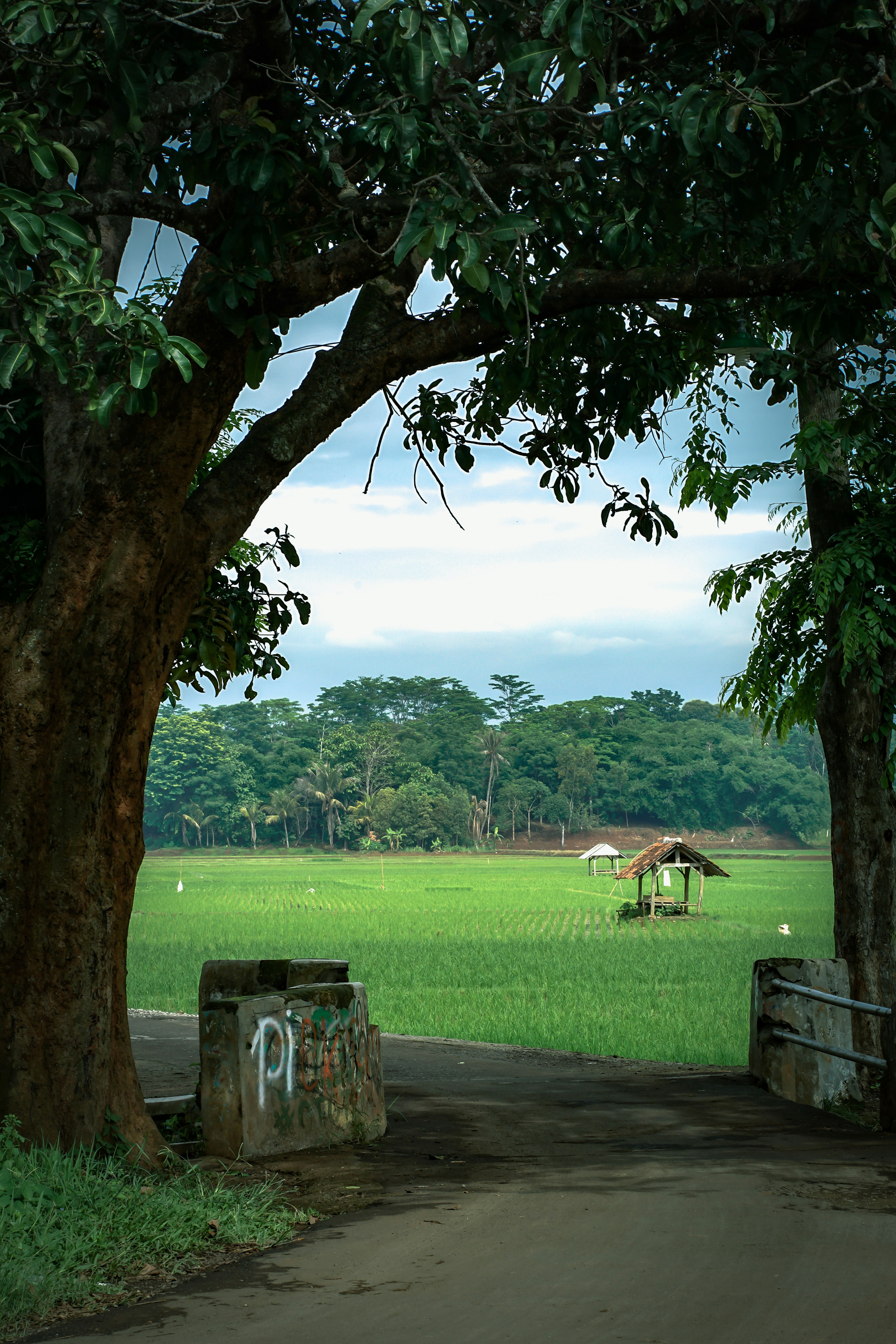 Yayan Sopian (@boyand) | Unsplash Photo Community