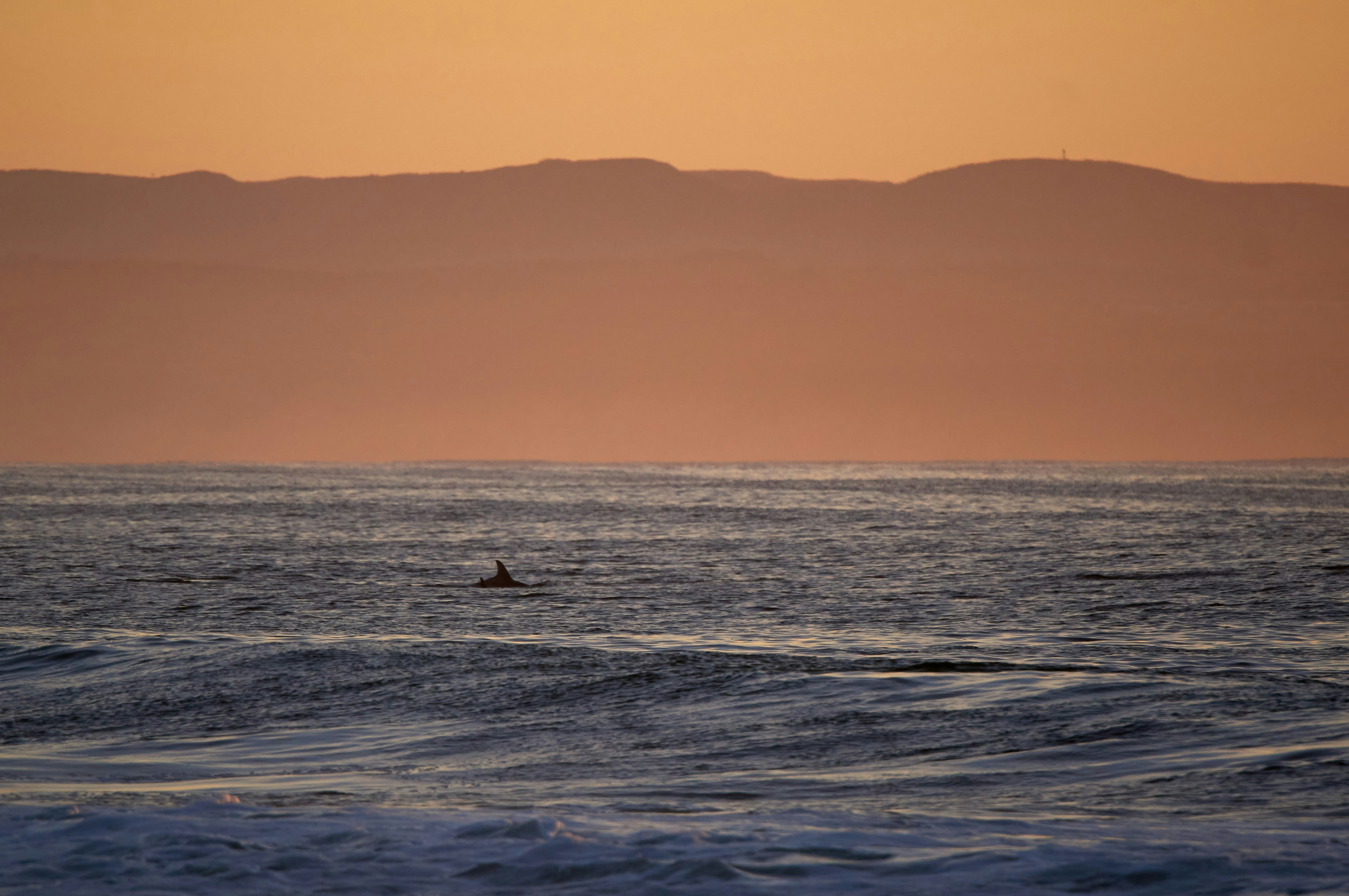 Dusk Silhouette Drift on an Orange Sea