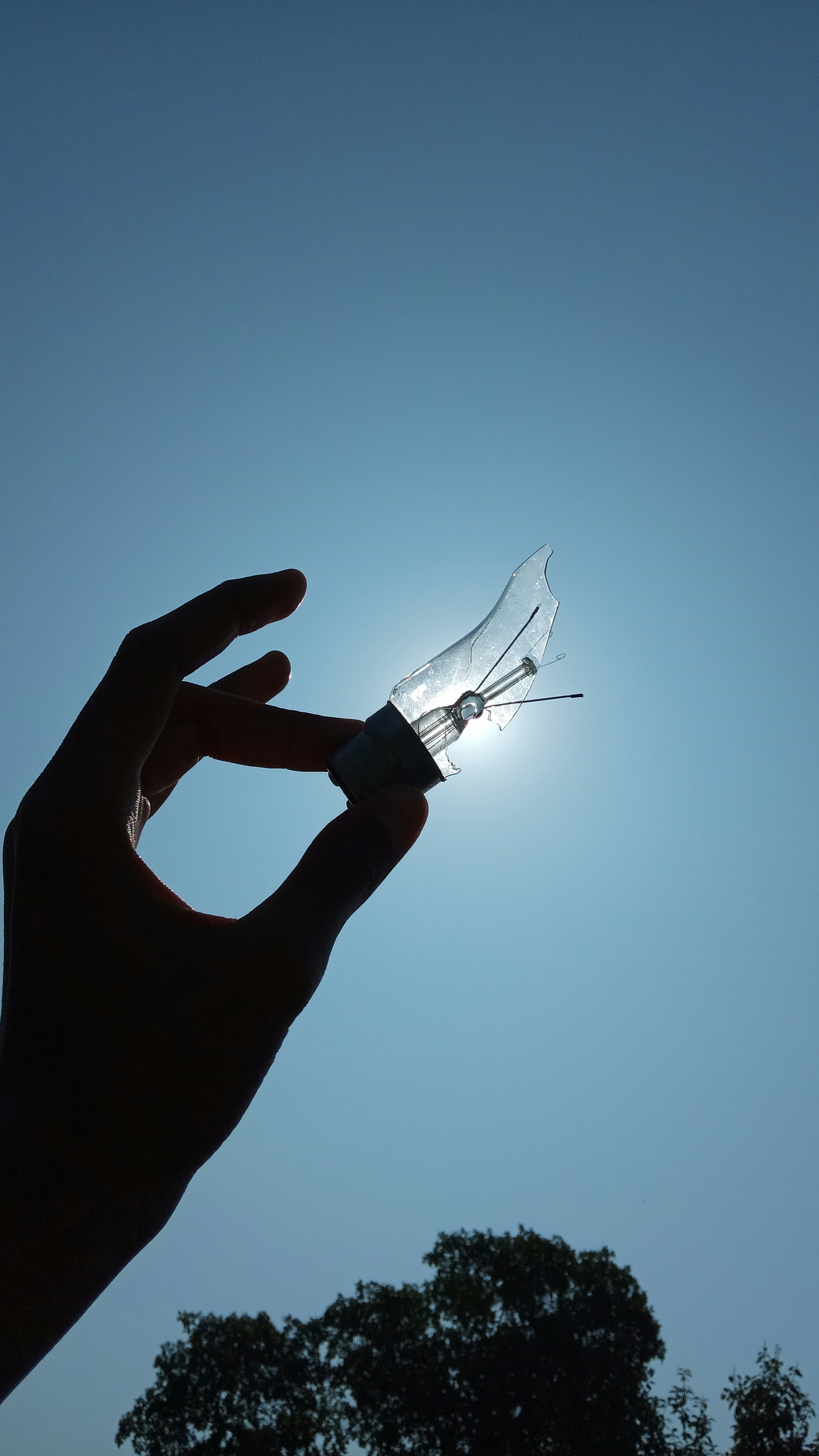 A hand holds a small translucent shard against a bright blue sky, with sun as a backlight and treetops near the bottom. This appears to be a close-up study of a fragile, glass-like piece in a natural environment.