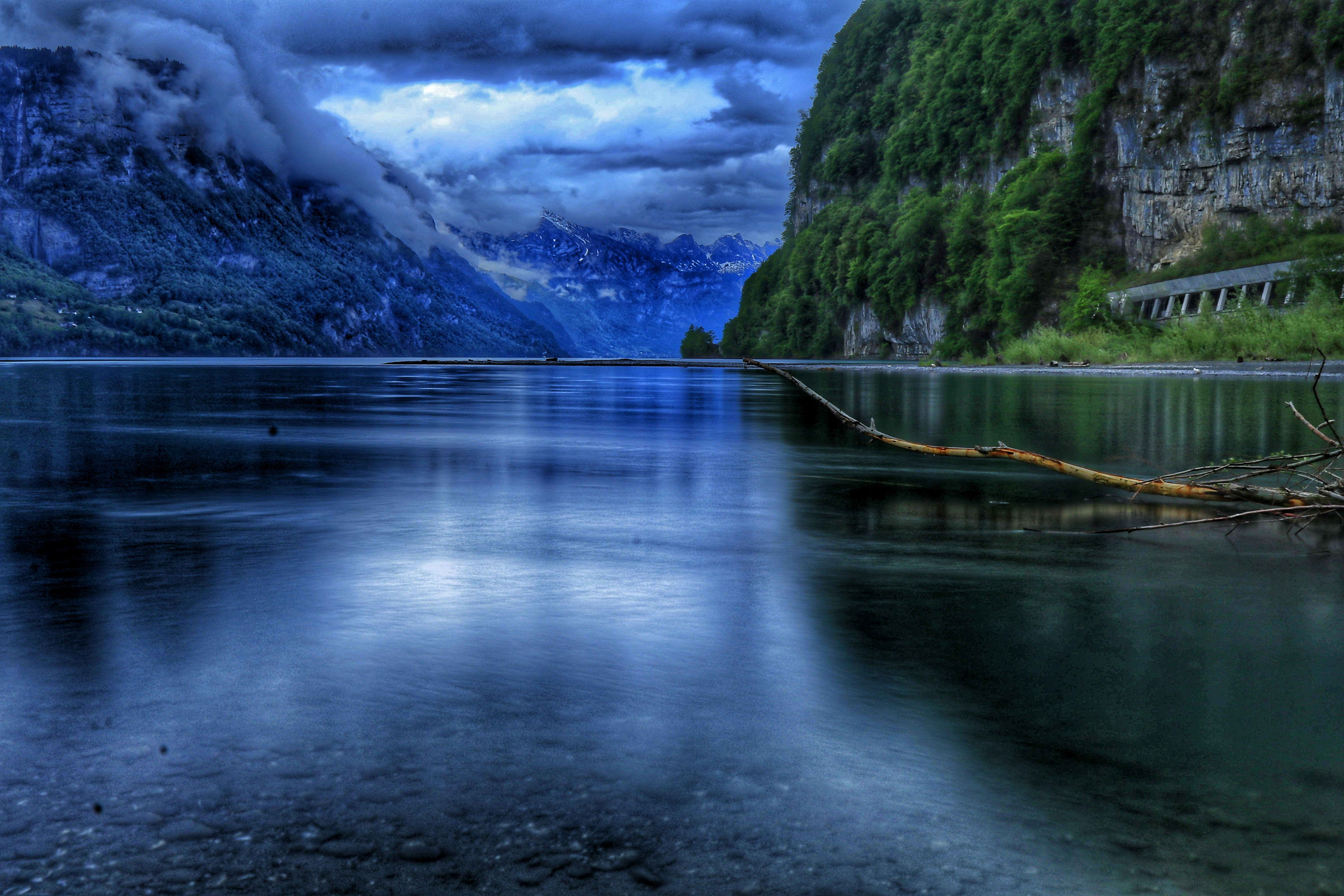 Blue Silence: The Log's Diagonal Through an Alpine Lake