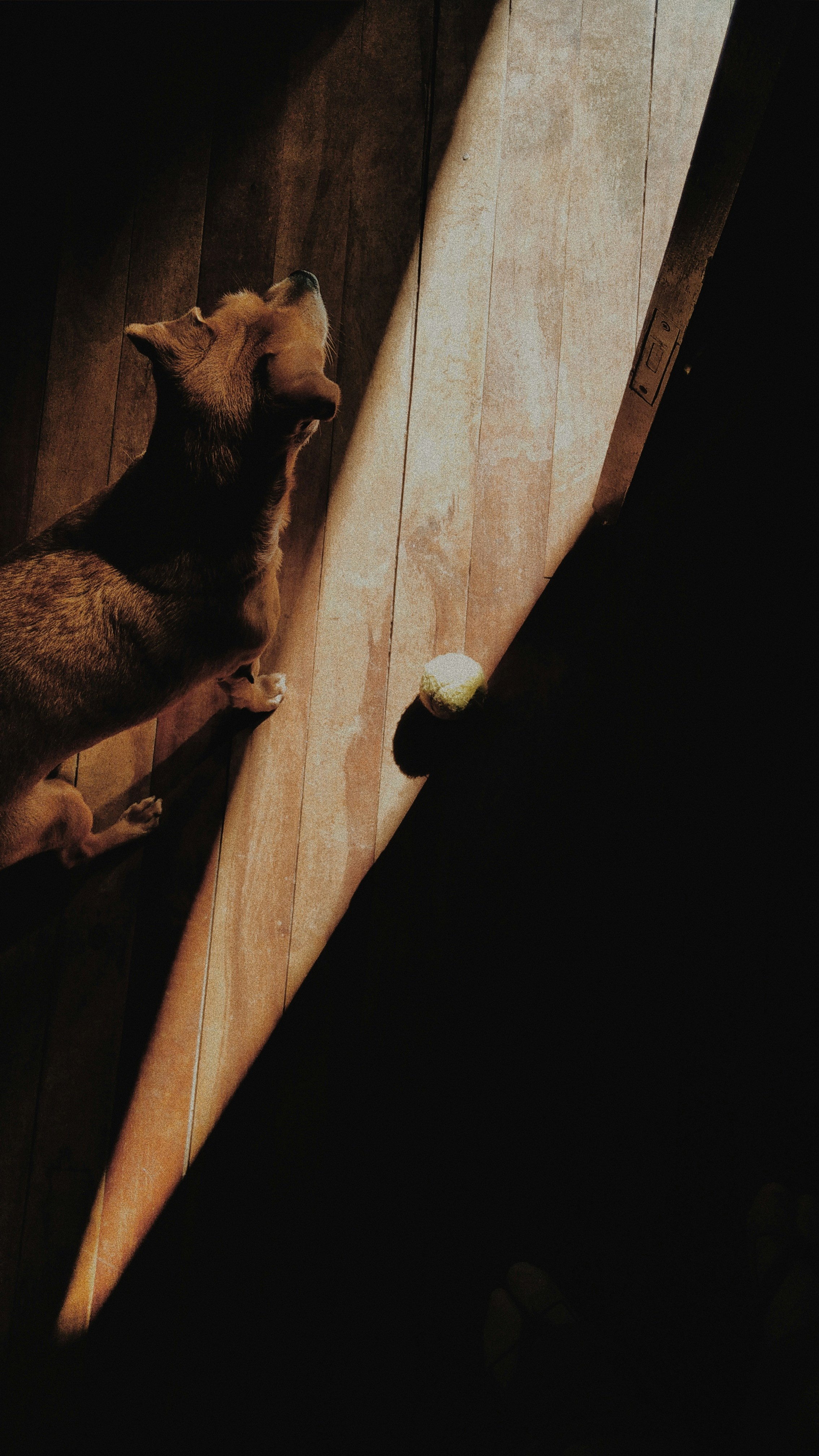 Sample photo from Xiaomi Redmi 8A