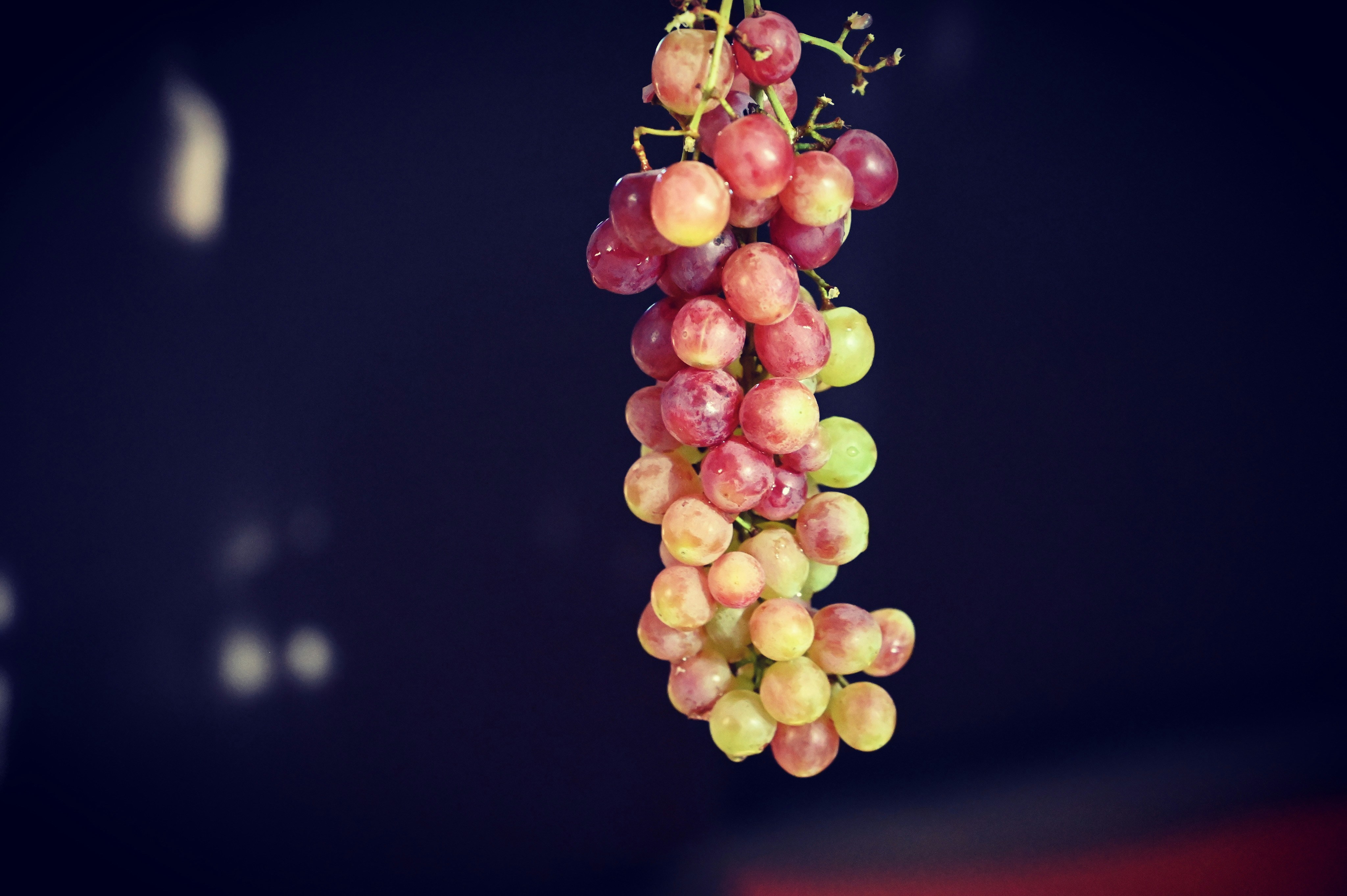Grape Cascade in Velvet Night: A Quiet Macro Moment