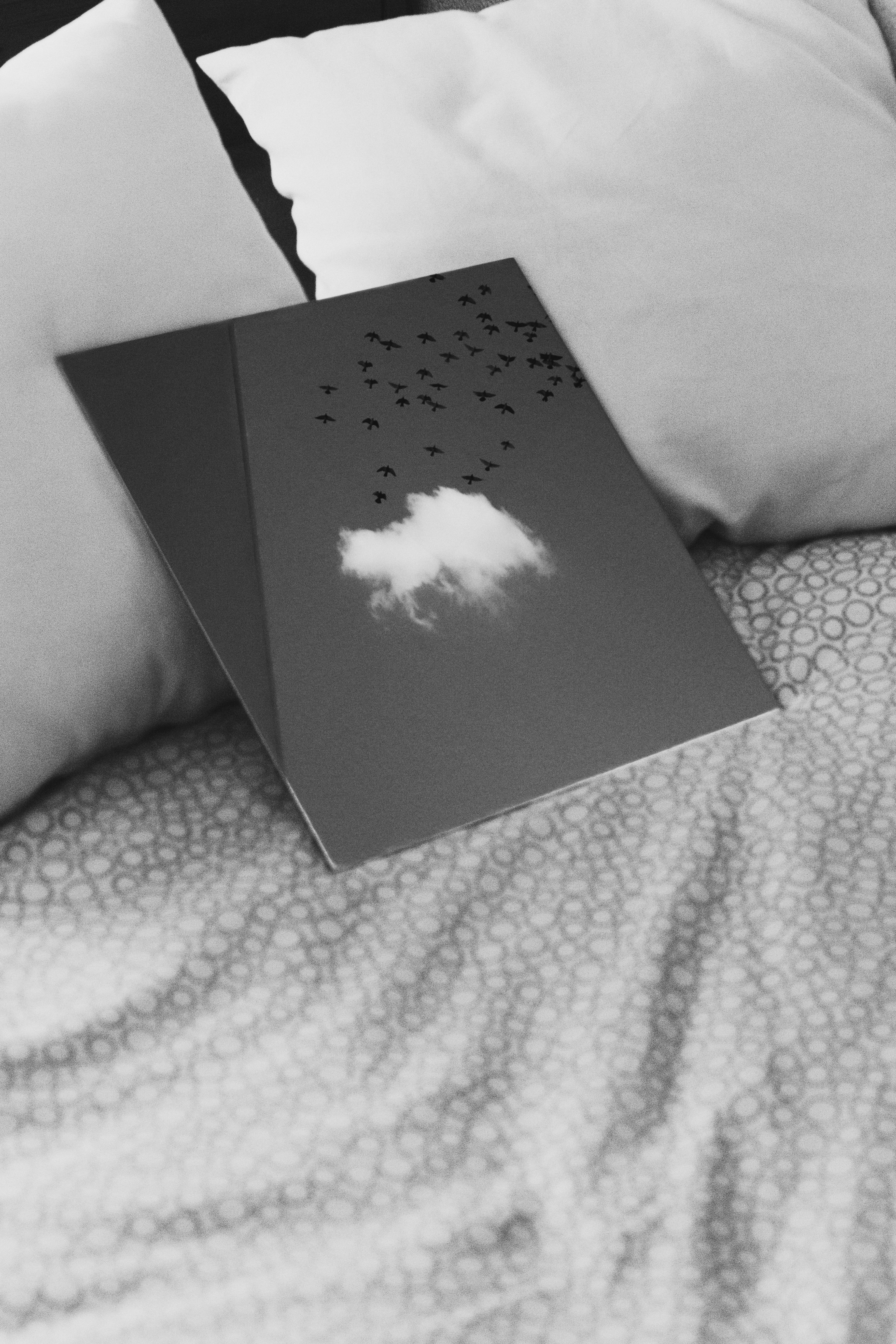 Dreams on a Quiet Bed: A Monochrome Moment with a Flight of Birds