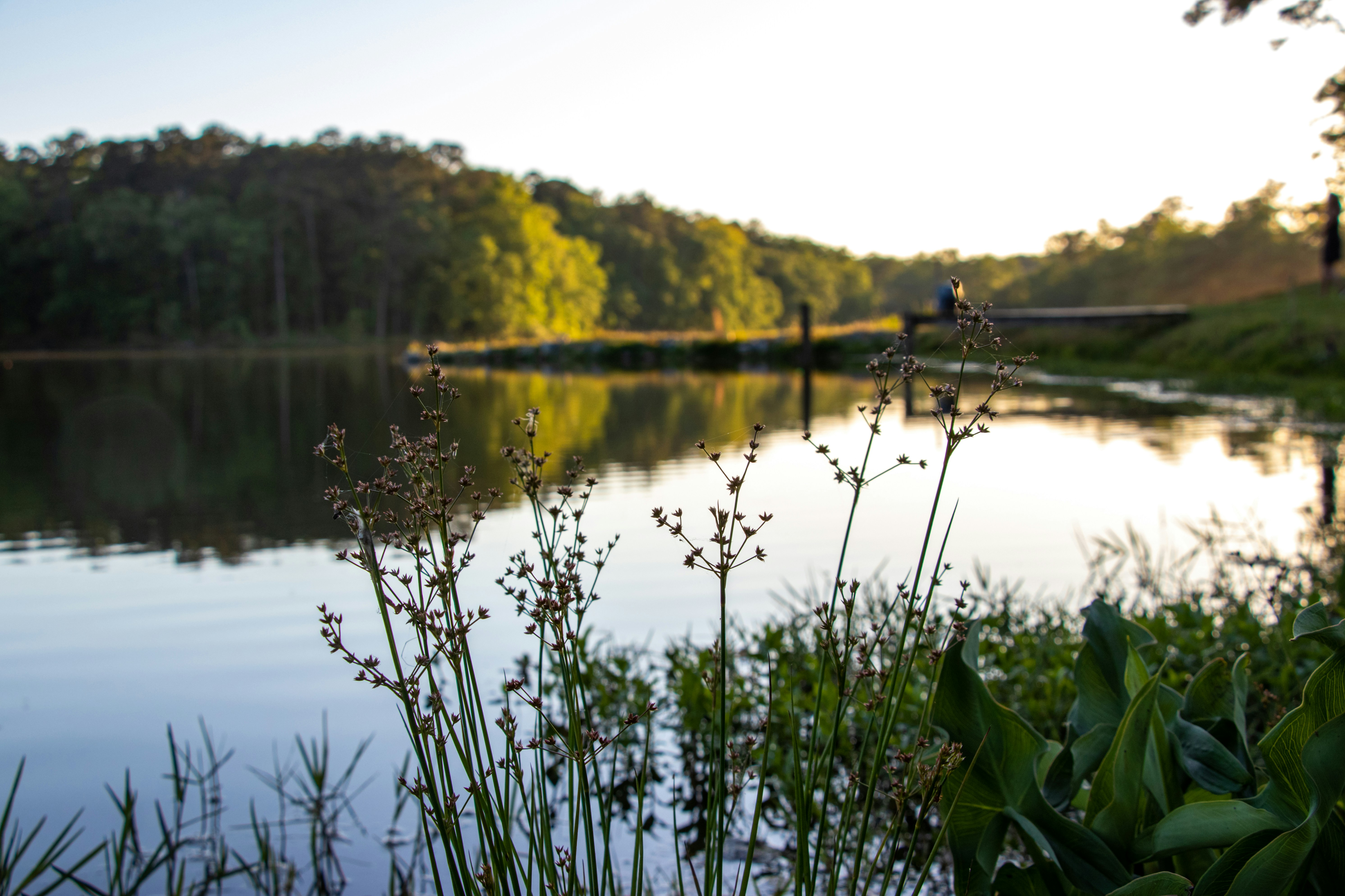 Serene lake with morning light reflecting off calm water and silhouetted figures on a distant dock.