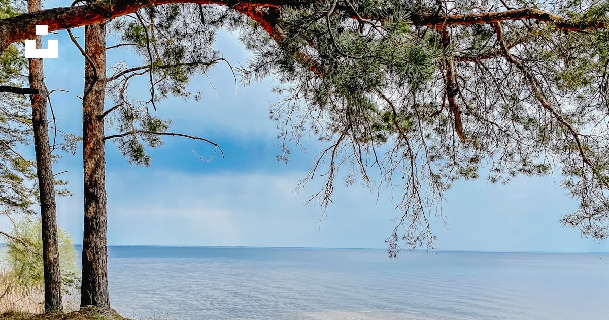 Brown Grass Near Body Of Water During Daytime Photo Free Украина Image On Unsplash
