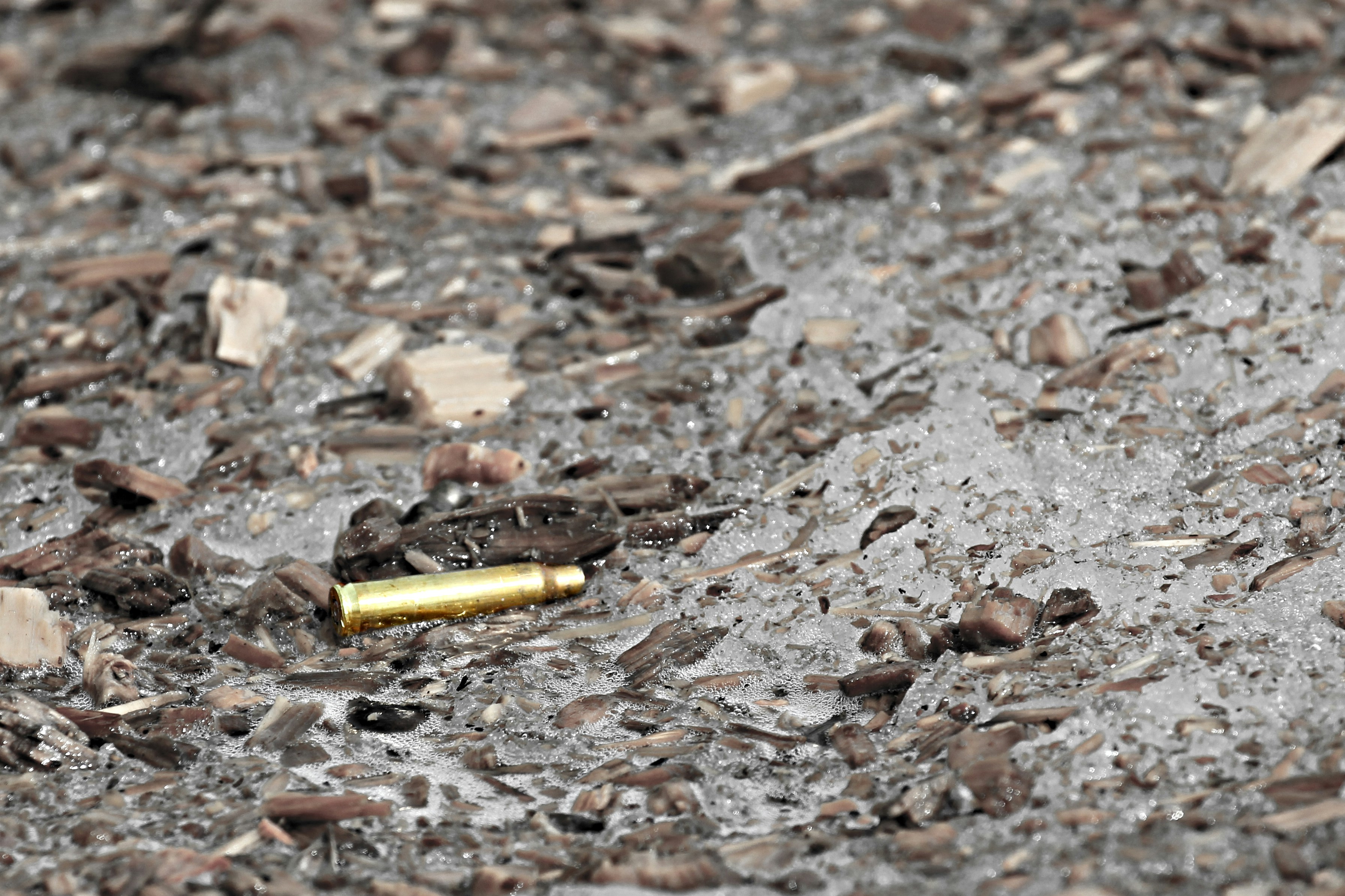 A gritty and poignant close-up capturing a single, spent brass shell casing abandoned in the freezing mud and slush of a Swiss military training ground. The metallic gold of the casing provides a sharp, industrial contrast against the desaturated, earthy tones of wet woodchips and crystalline ice. Natural, diffused light reflects off the wet surfaces, emphasizing the harsh textures of the winter landscape. This evocative shot serves as a silent reminder of military precision and the aftermath of live-fire exercises, blending mechanical artifacts with the raw elements of the rugged outdoors.