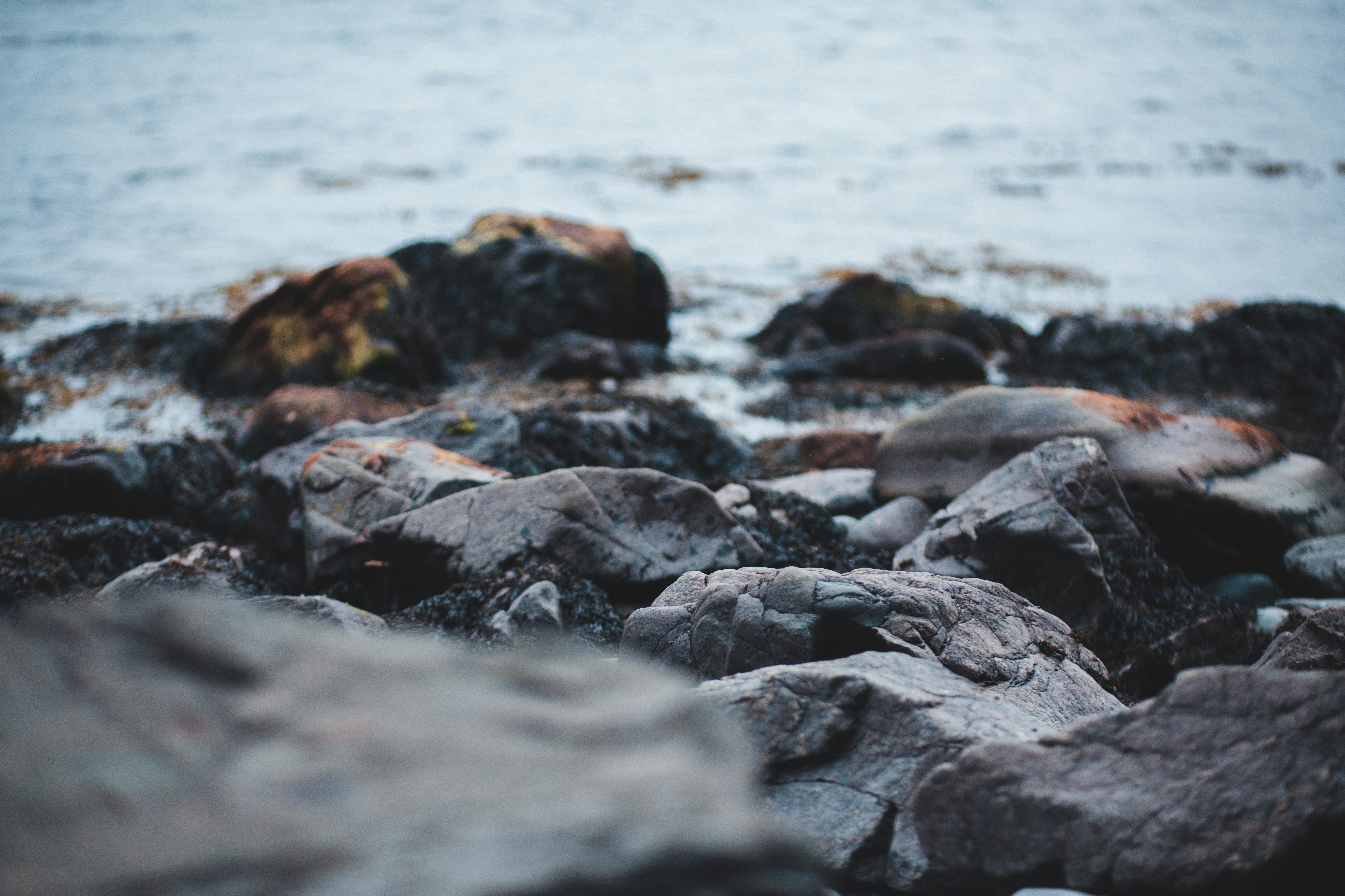 Black and gray rocks near body of water during daytime photo – Free ...