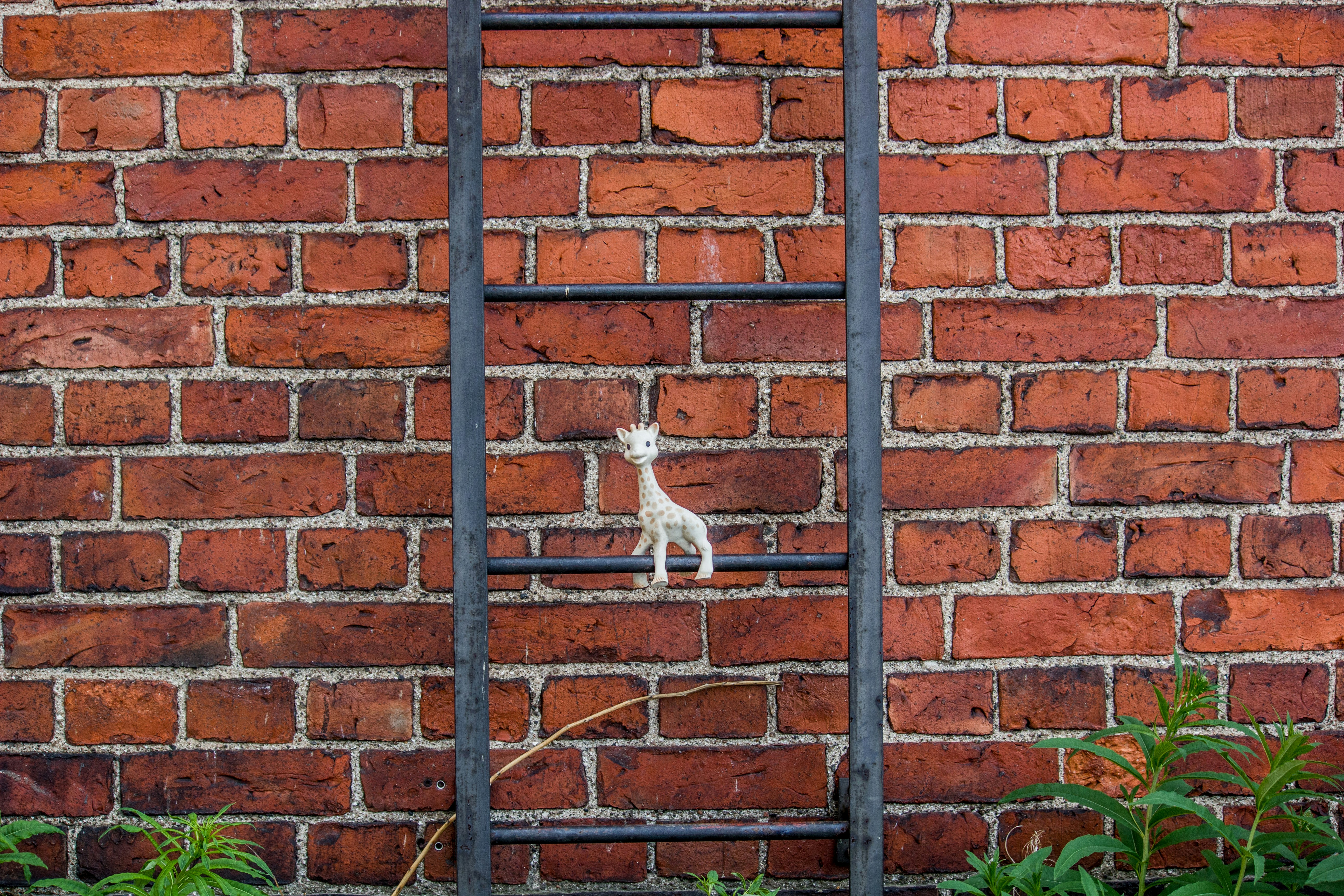 A small giraffe figurine positioned on a metal ladder against a rustic brick wall, surrounded by greenery.