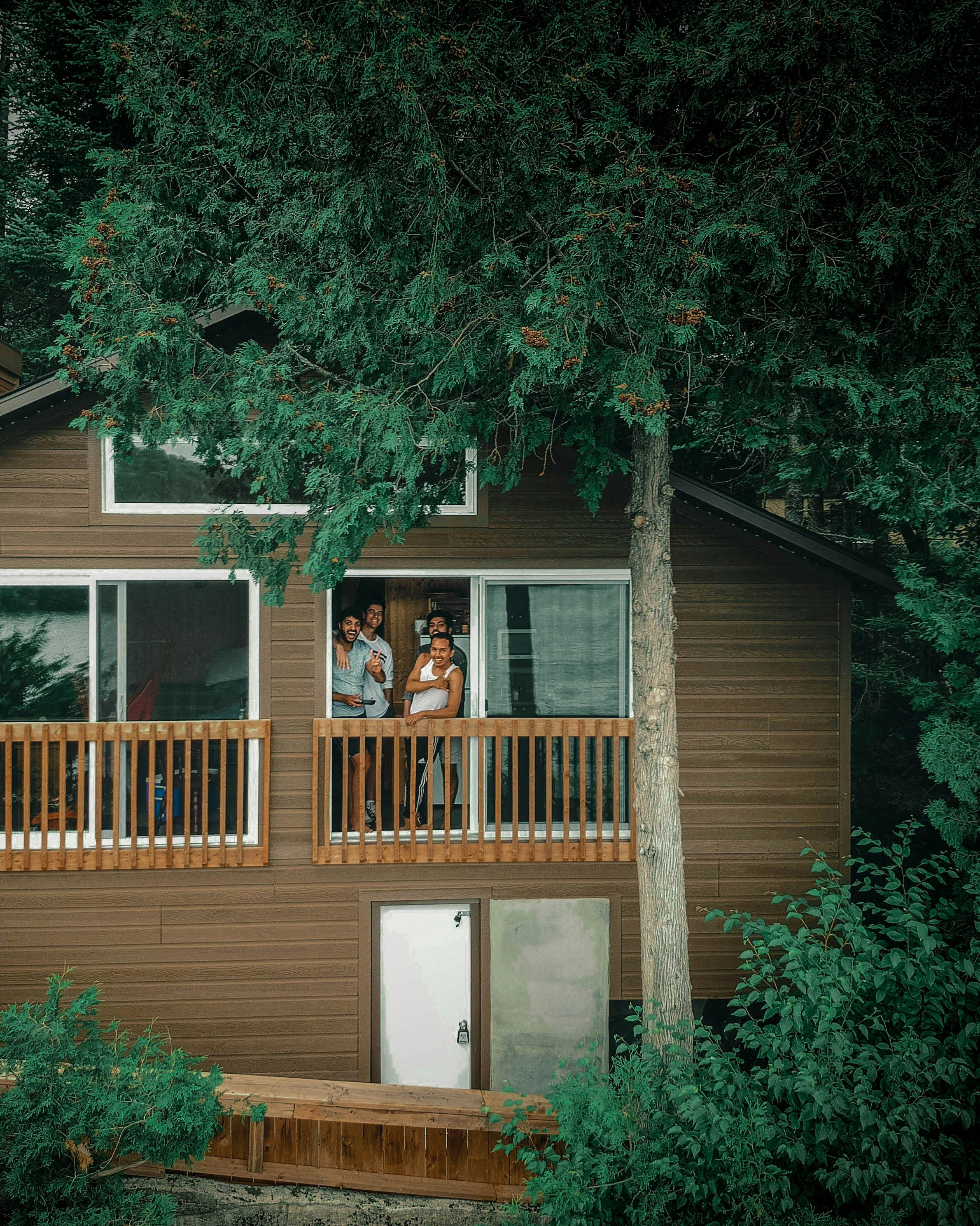 Cedar Balcony Gathering: A Sunlit Family Moment Among Evergreen Fronds