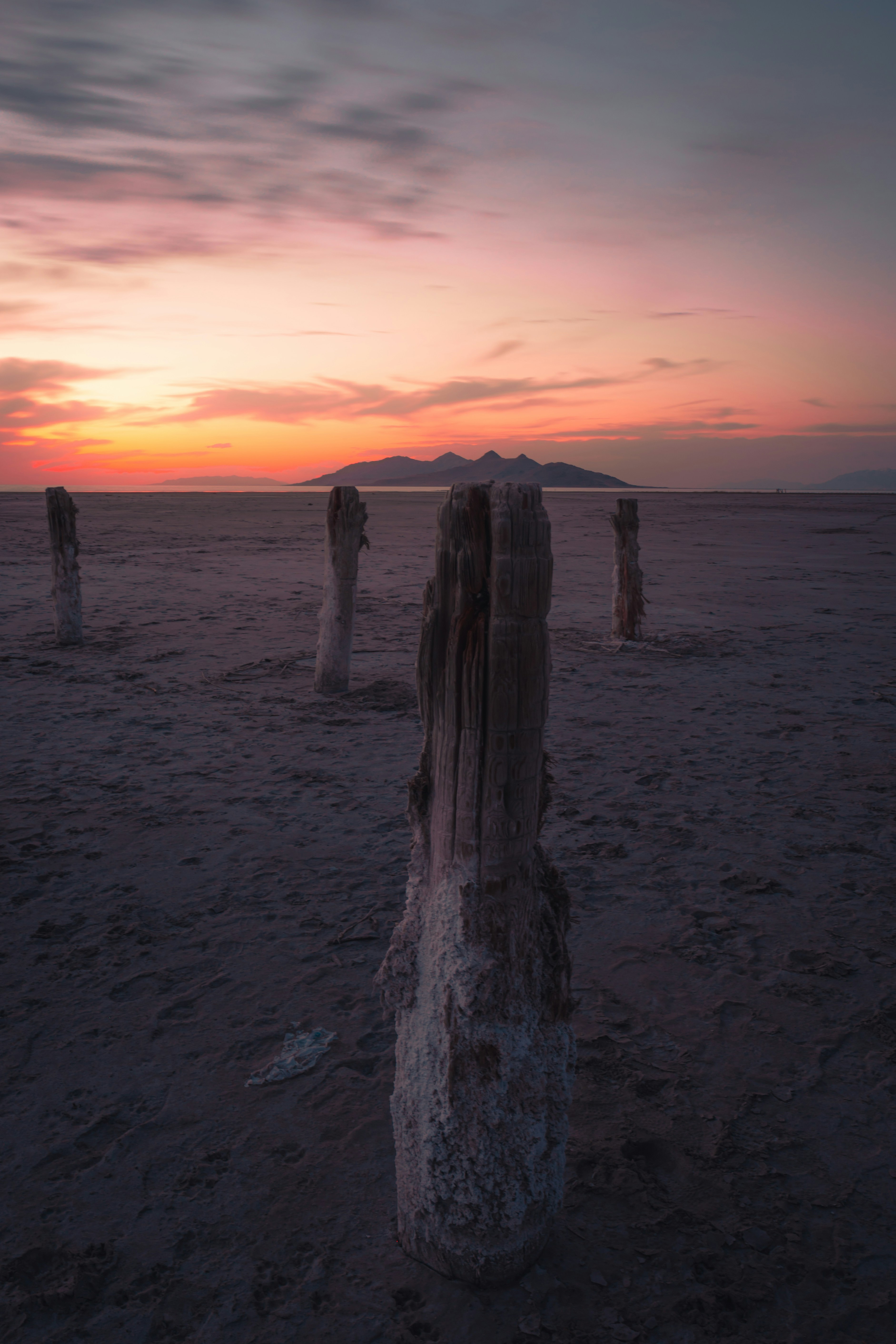 Brown wood log on beach during sunset photo – Free Nature Image on Unsplash