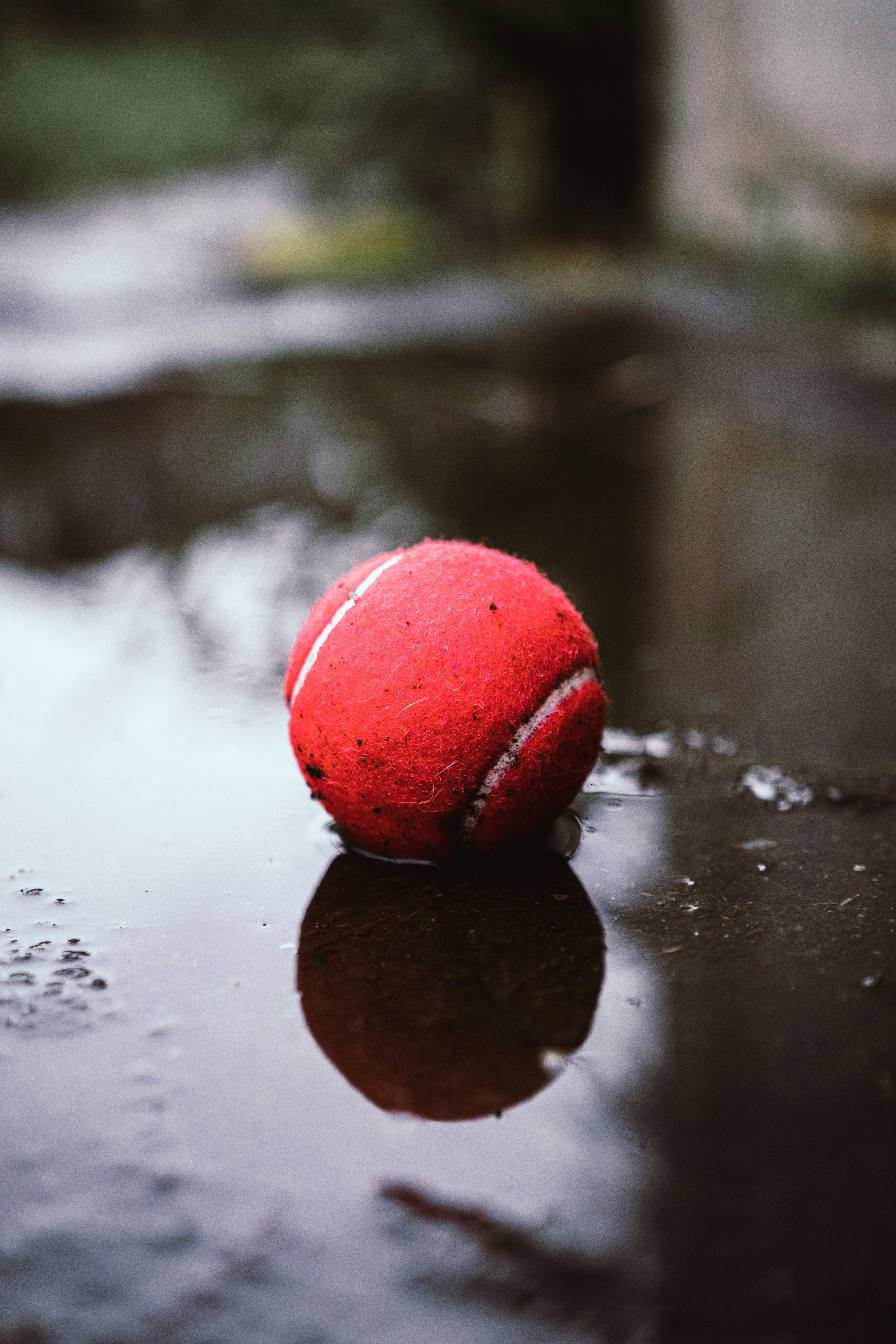 red round fruit on black surface