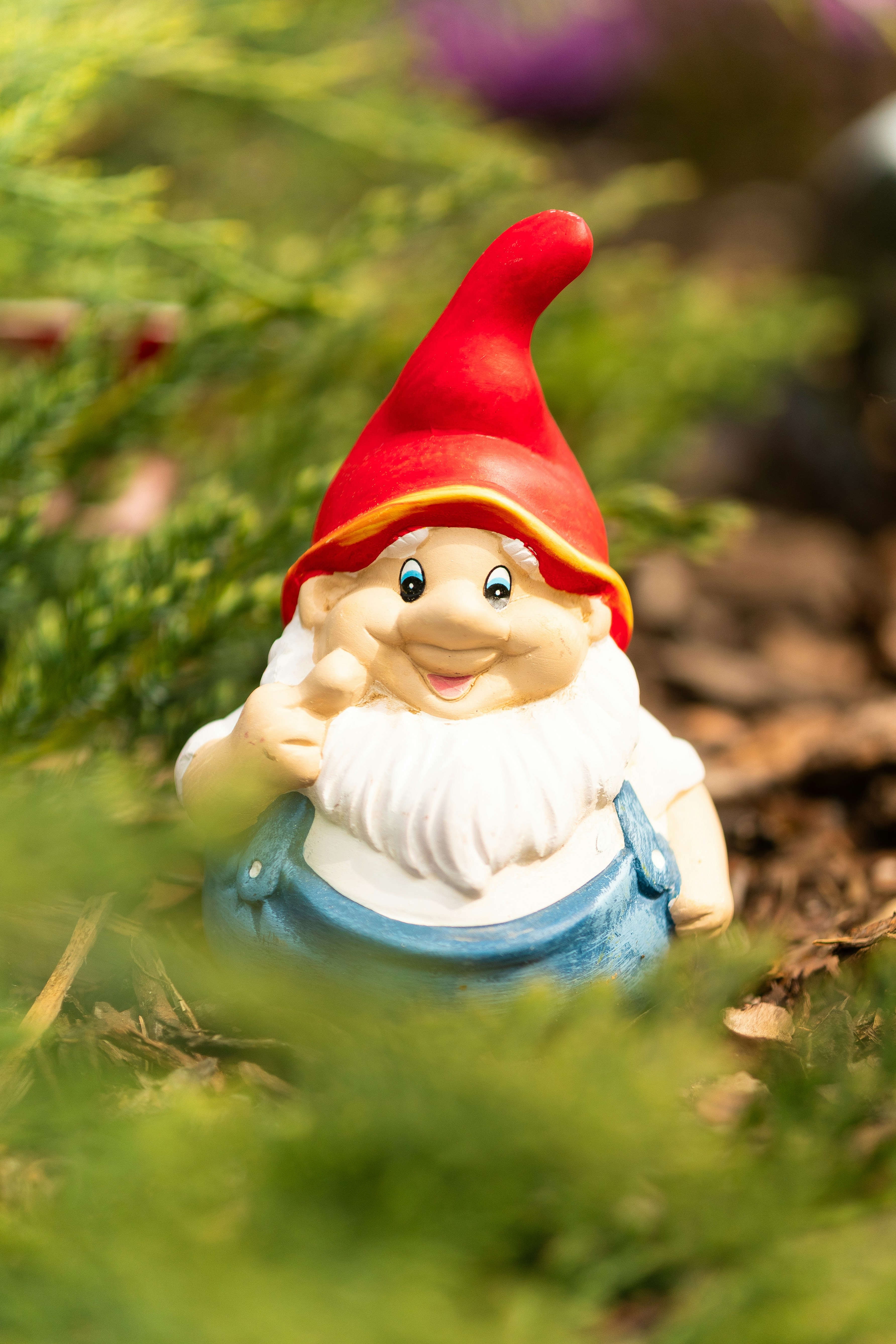 Garden Gnome in Focus: Red-Capped Cheer in Soft Spring Light