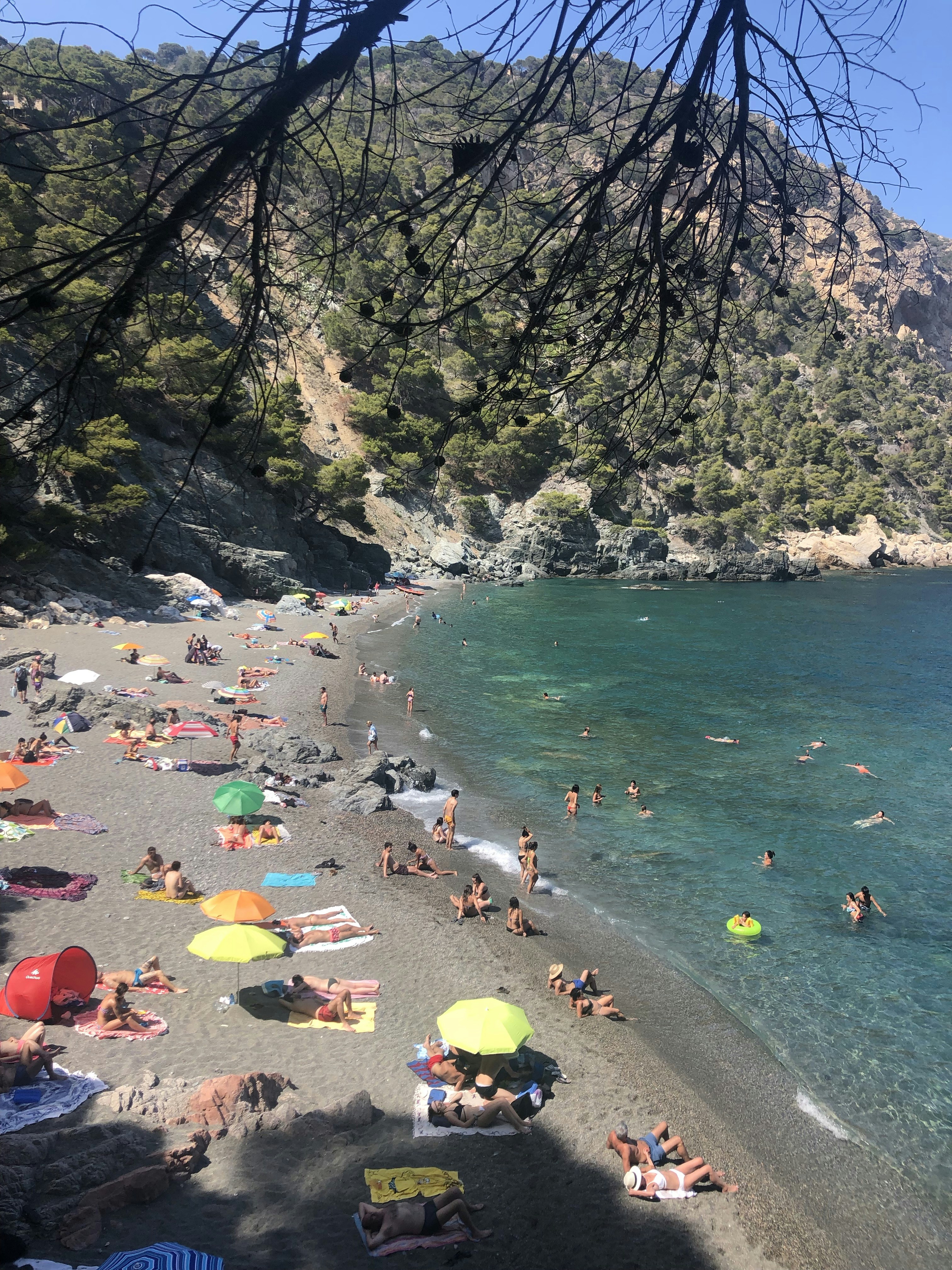 Sunlit Umbrella Chorus on a Turquoise Cove Beach
