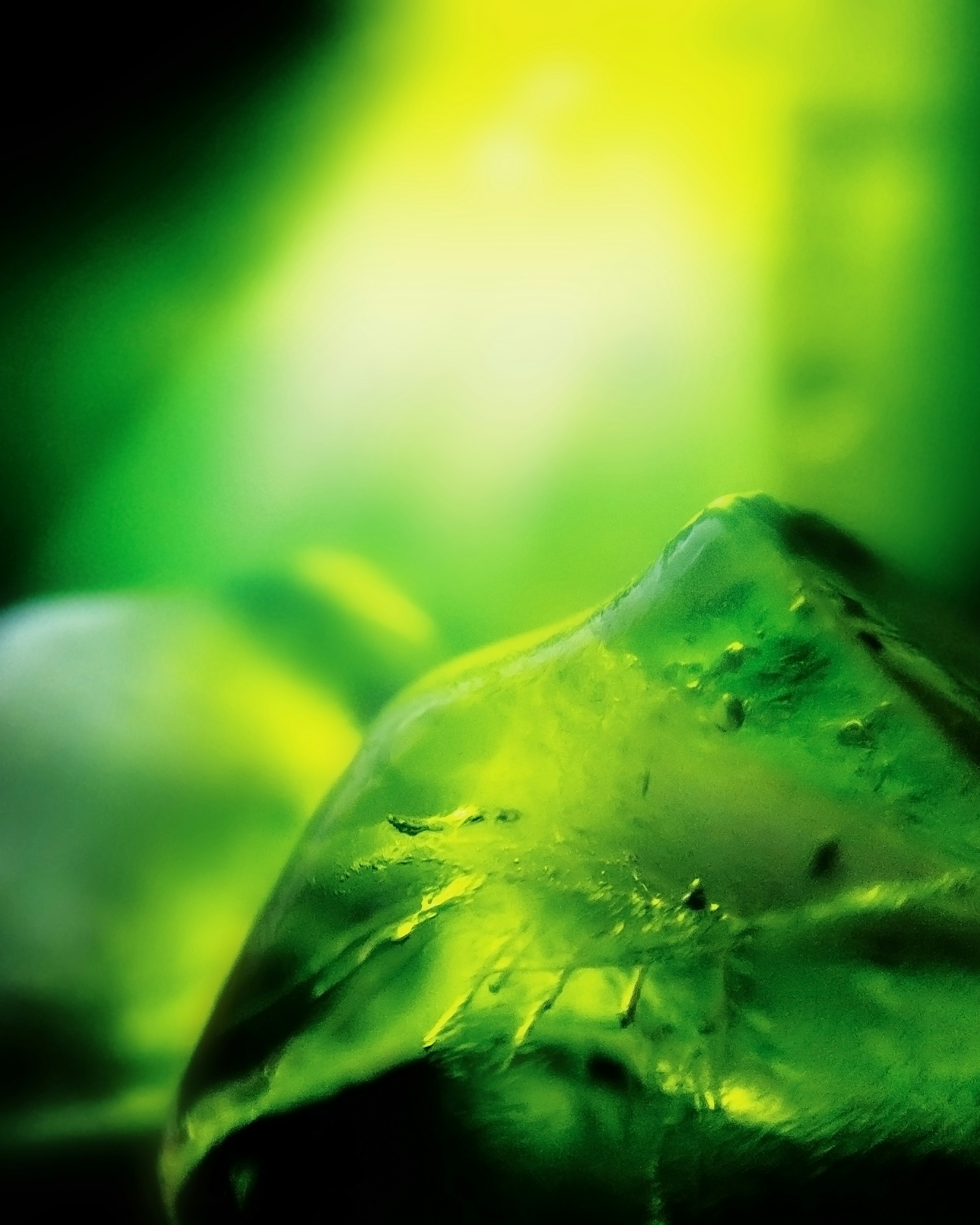 Water drop on green leaf photo – Free Green Image on Unsplash