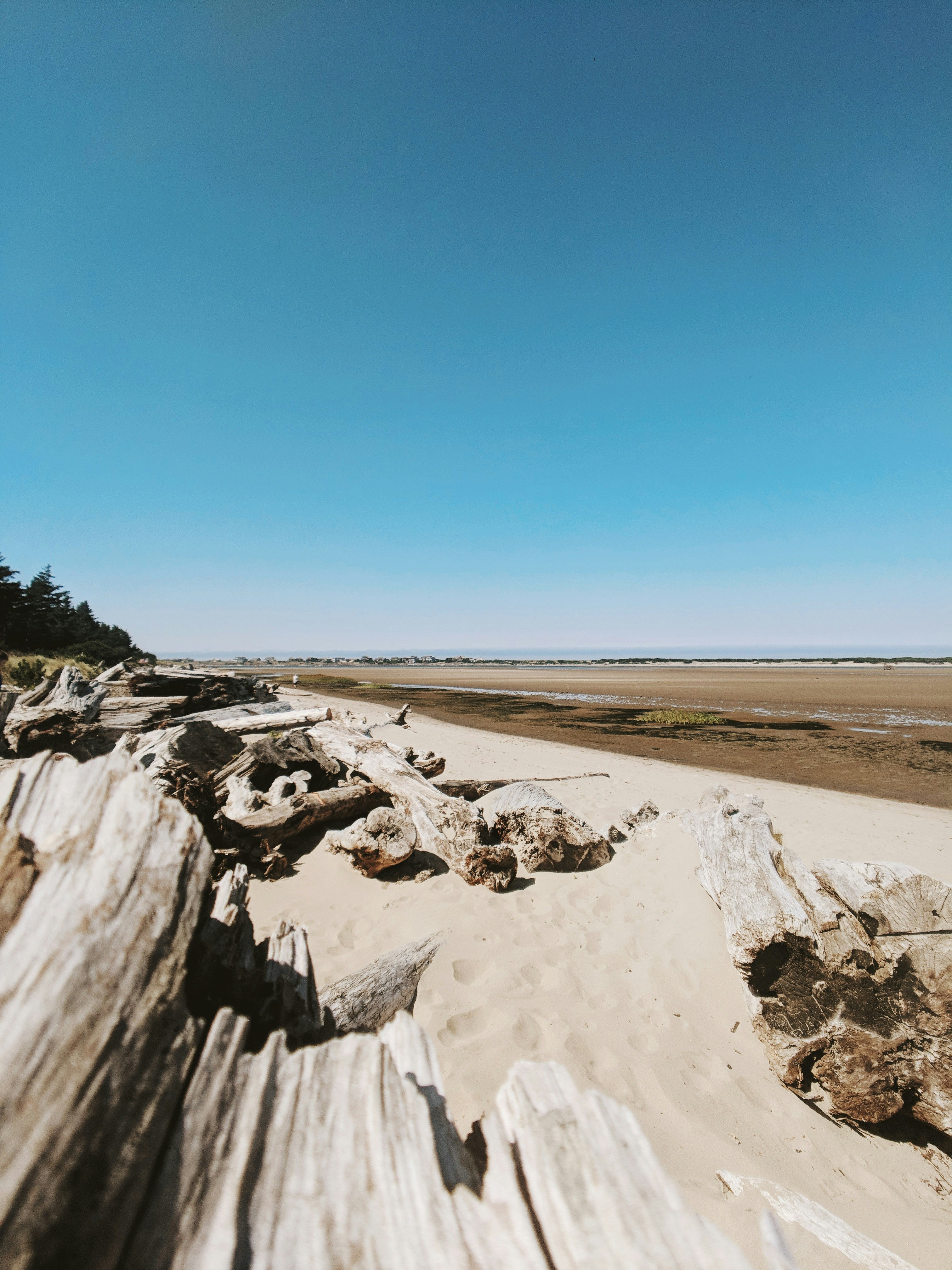 Exploring the Oregon Coast with beach views and lighthouses.
