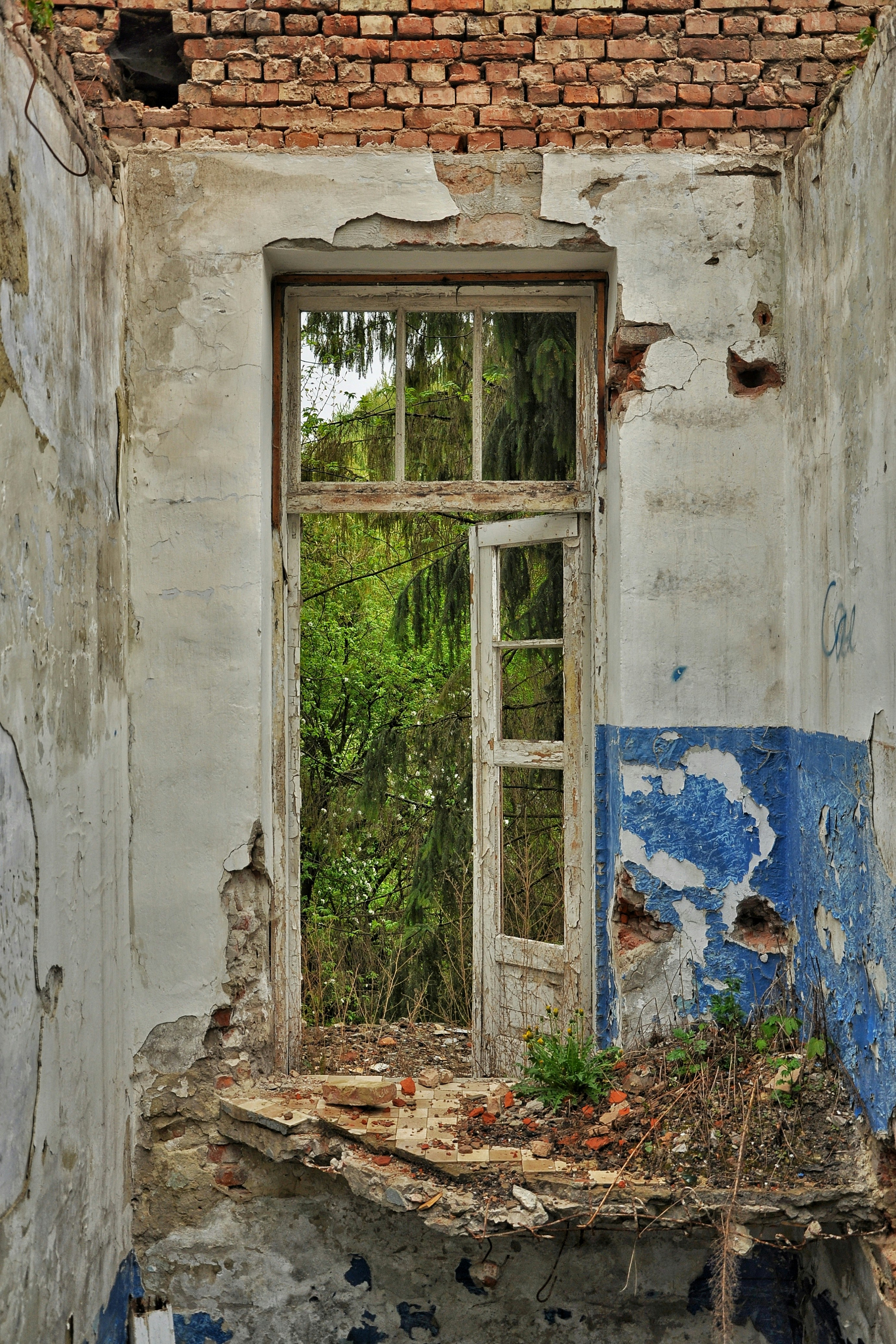 Threshold to the Green: A Crumbling Doorway Framing Verdant Escape