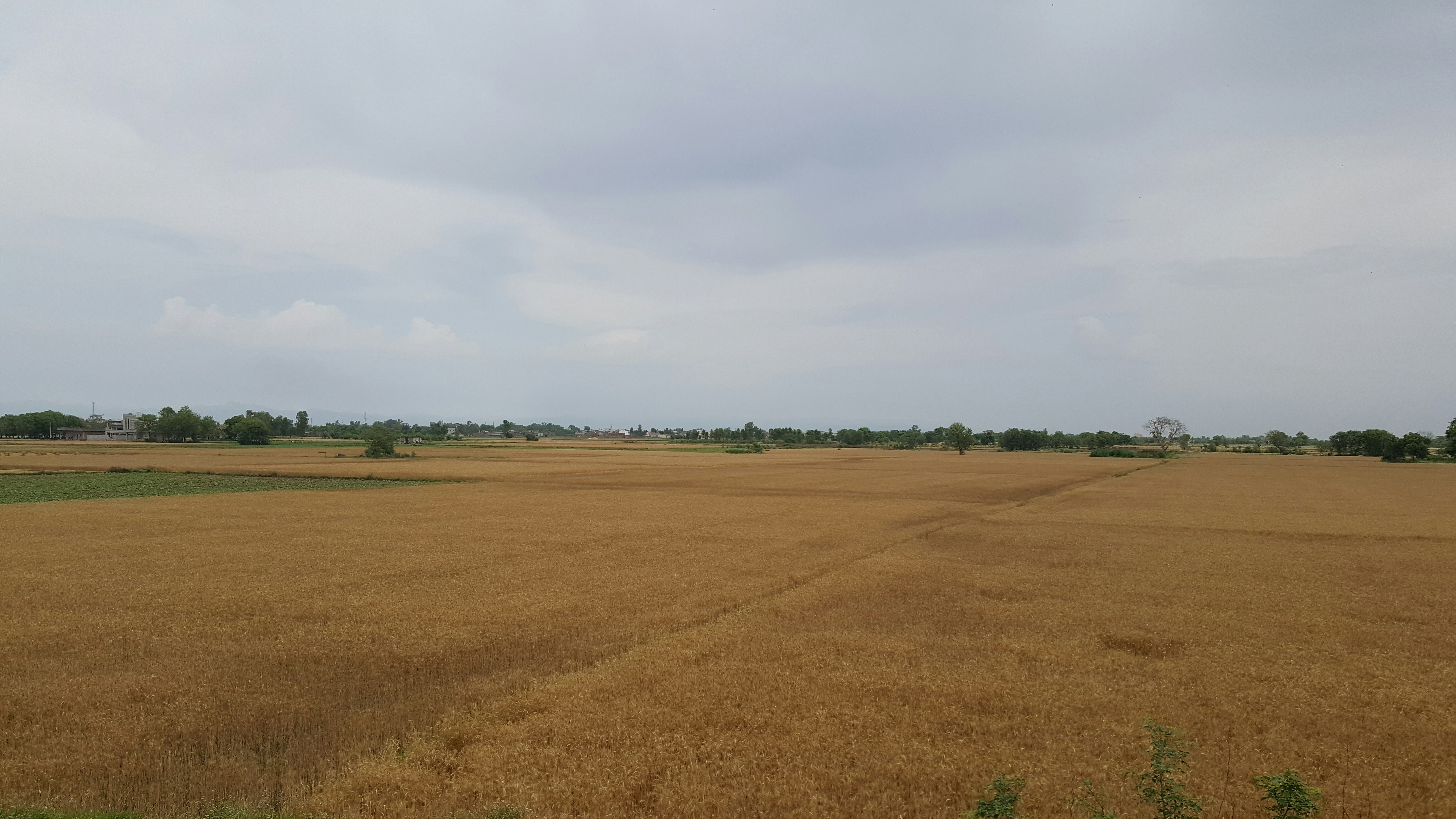 Champ brun sous des nuages blancs pendant la journée photo – Photo Brun ...