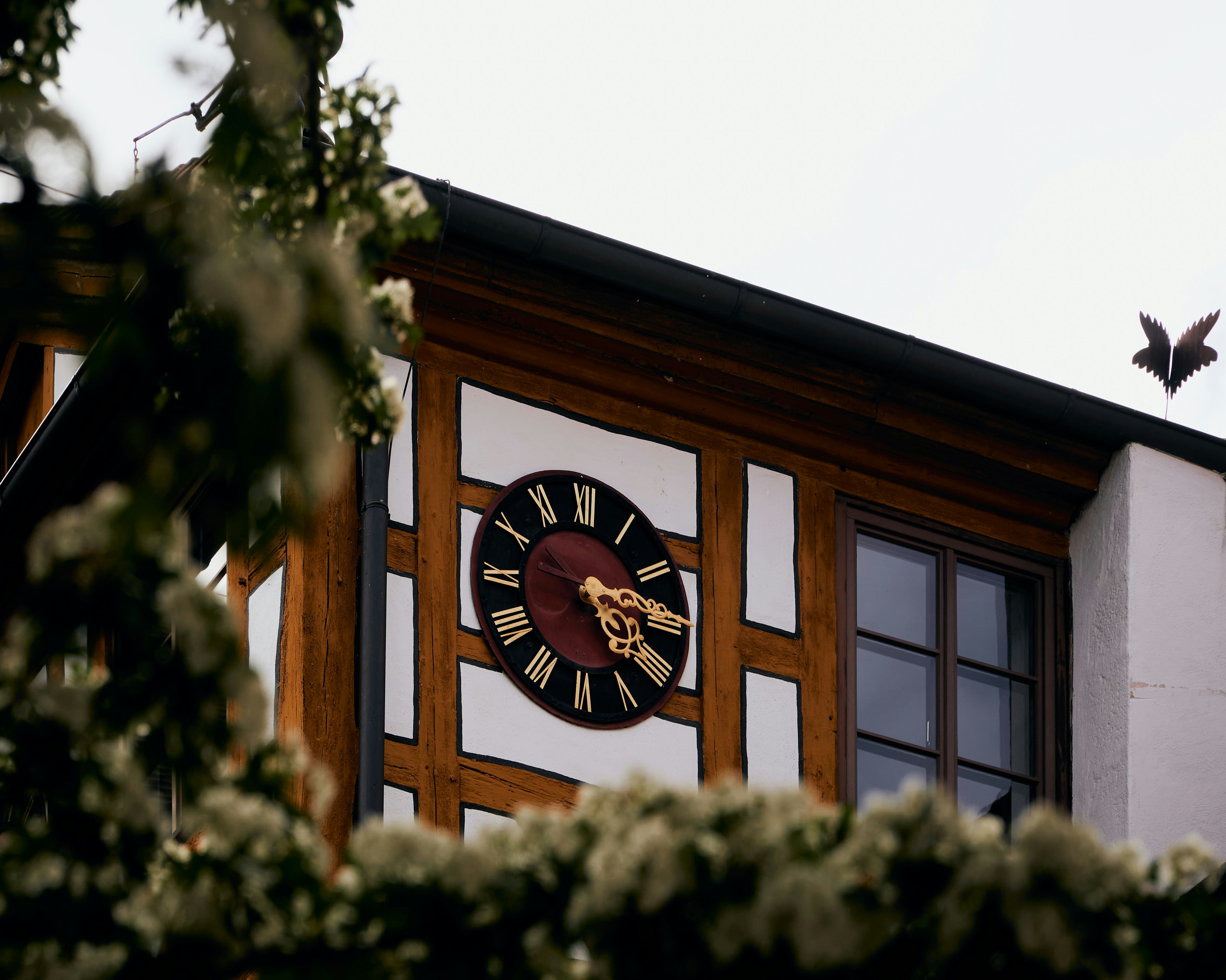 Clock face set within a timber-framed facade, framed by blurred greenery in the foreground.