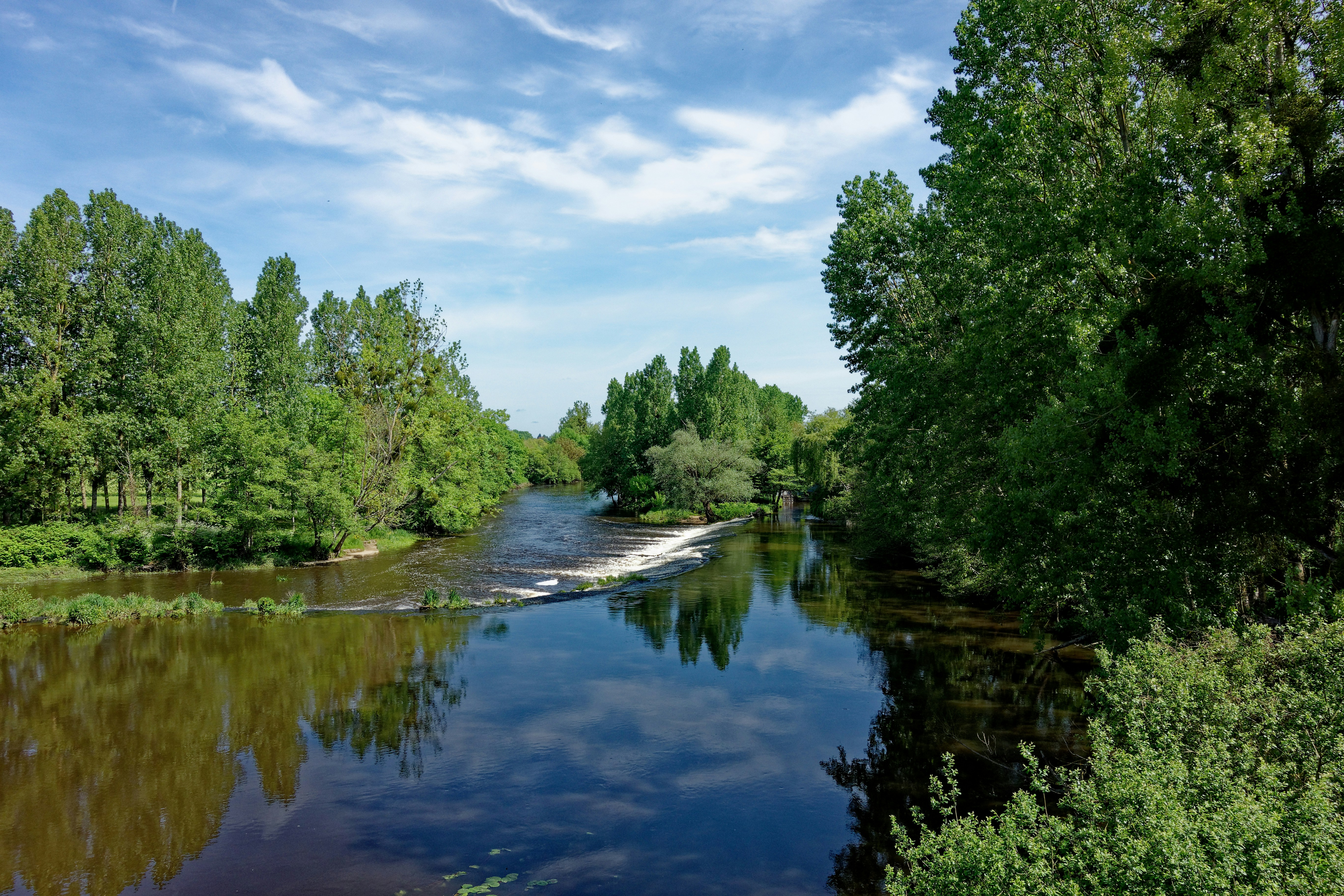 Green trees beside river under blue sky during daytime photo – Free ...