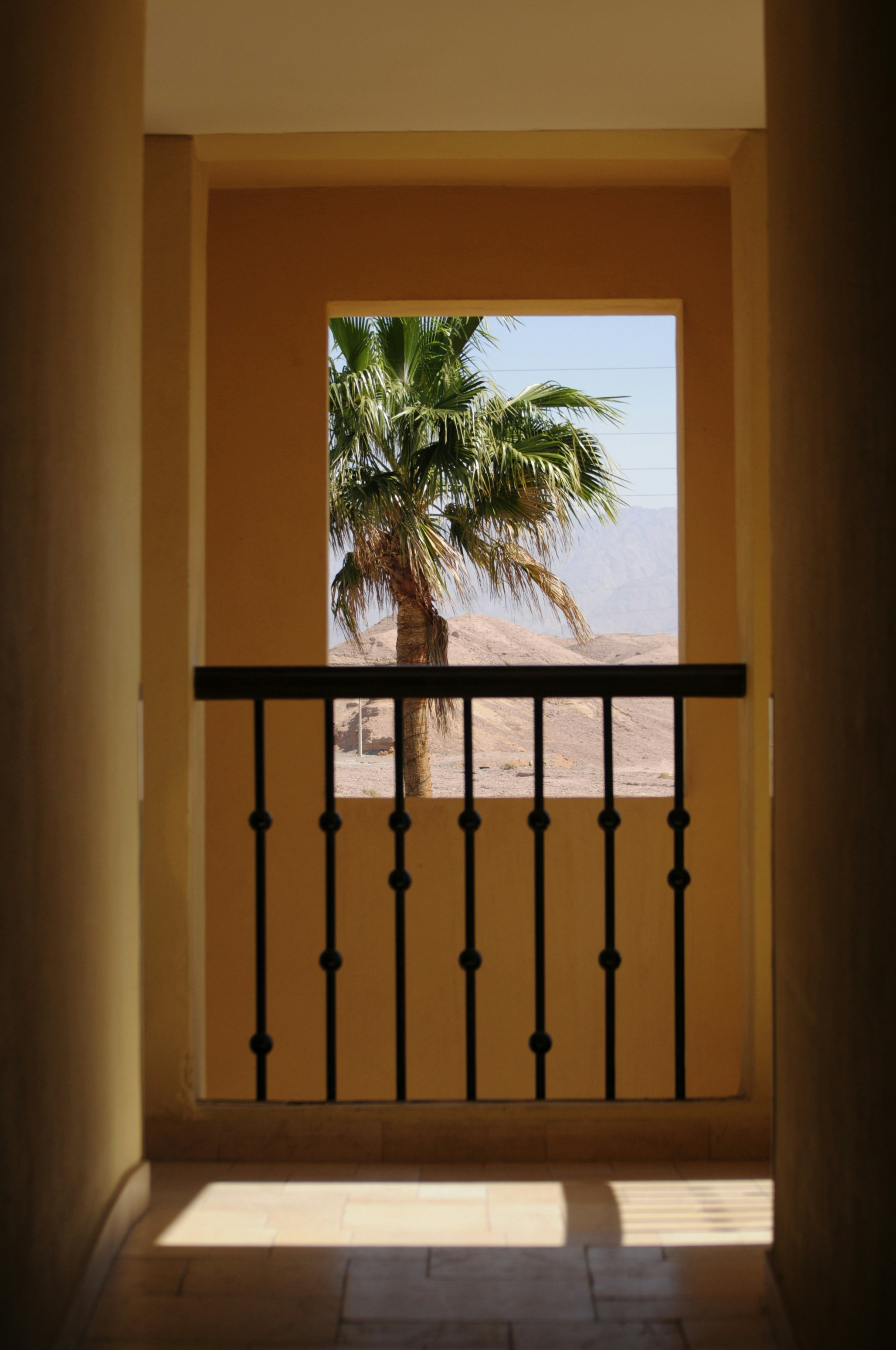 Palm tree framed by a balcony view, contrasting with the earthy tones of the landscape beyond. Bright blue sky enhances the tranquil atmosphere.