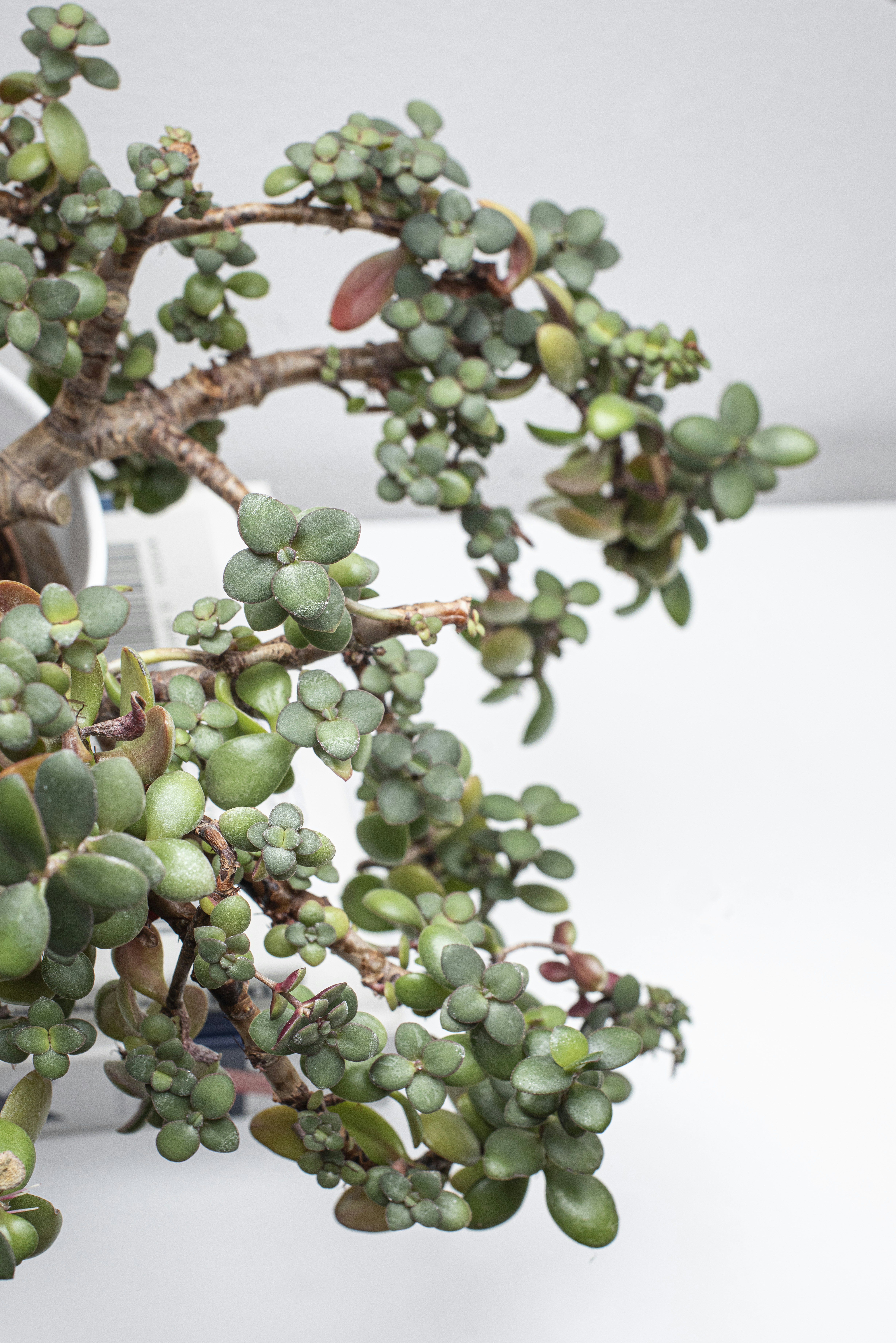 GLOBENCER (@globencer) | Comunidad de fotos de Unsplash