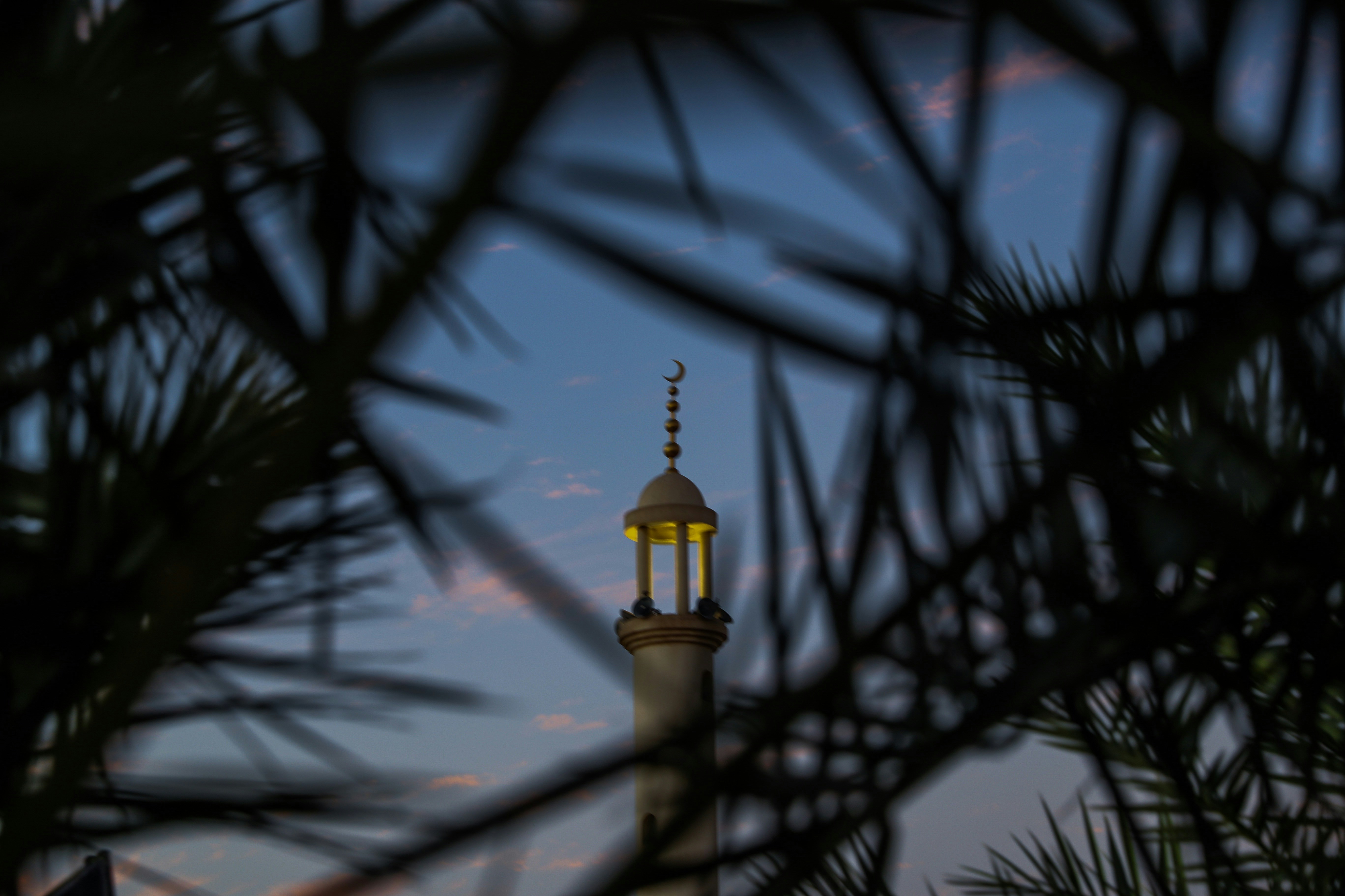 Framed Minaret Through Palm Veils at Dusk