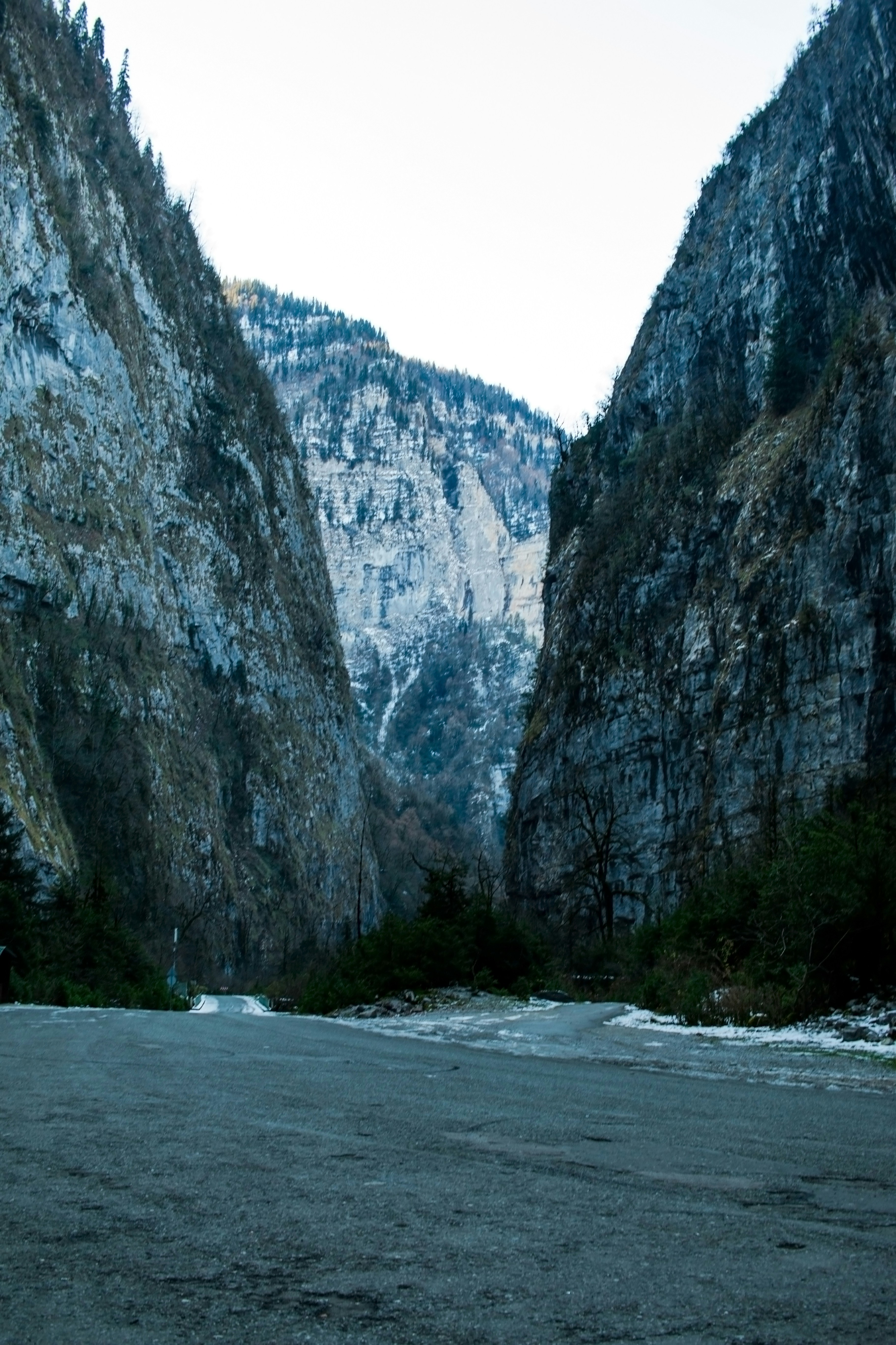 Gray rocky mountain with green trees during daytime photo – Free ...