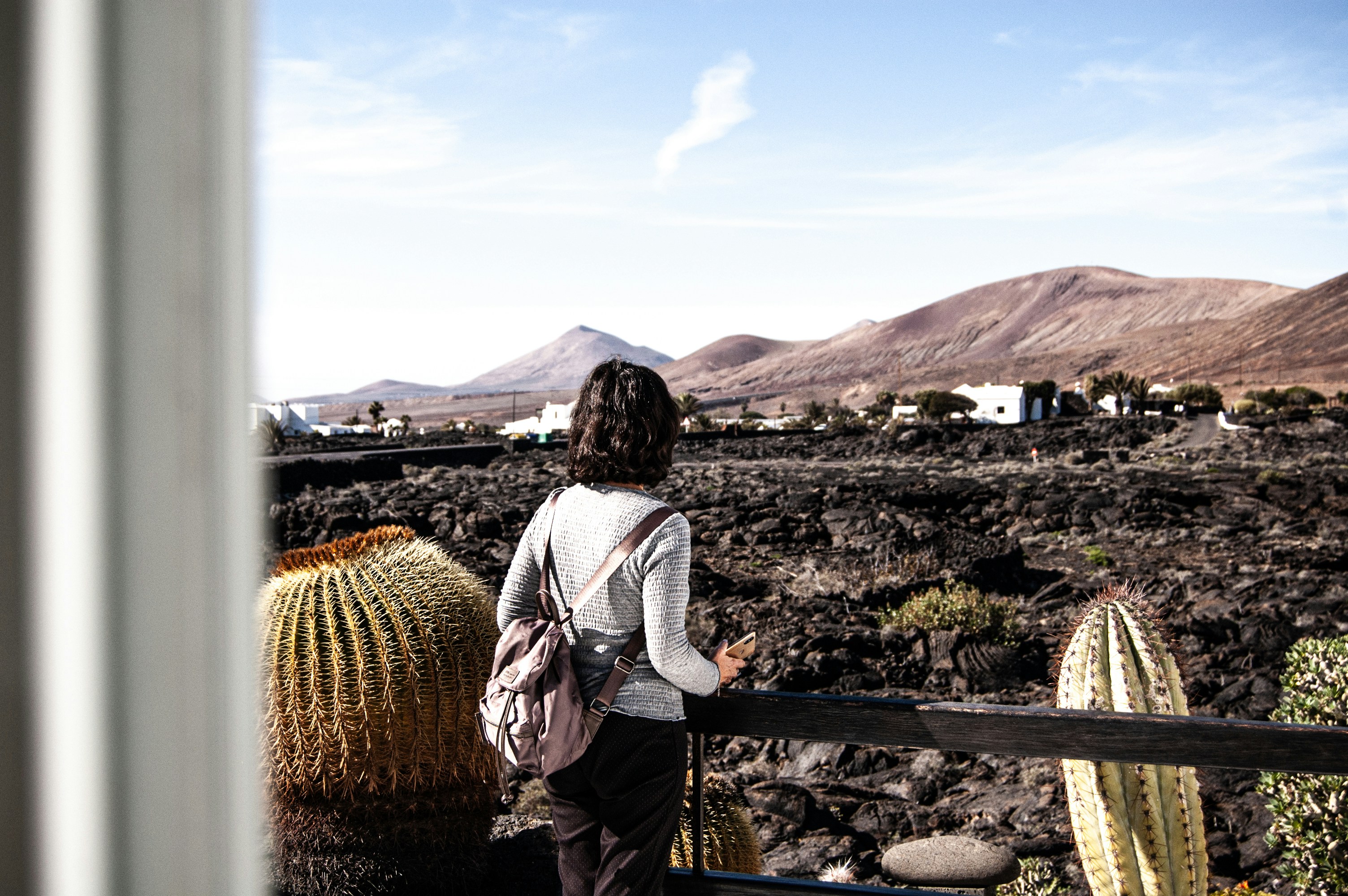 A woman gazes over a volcanic landscape, framed by cacti, with distant mountains under a clear sky.