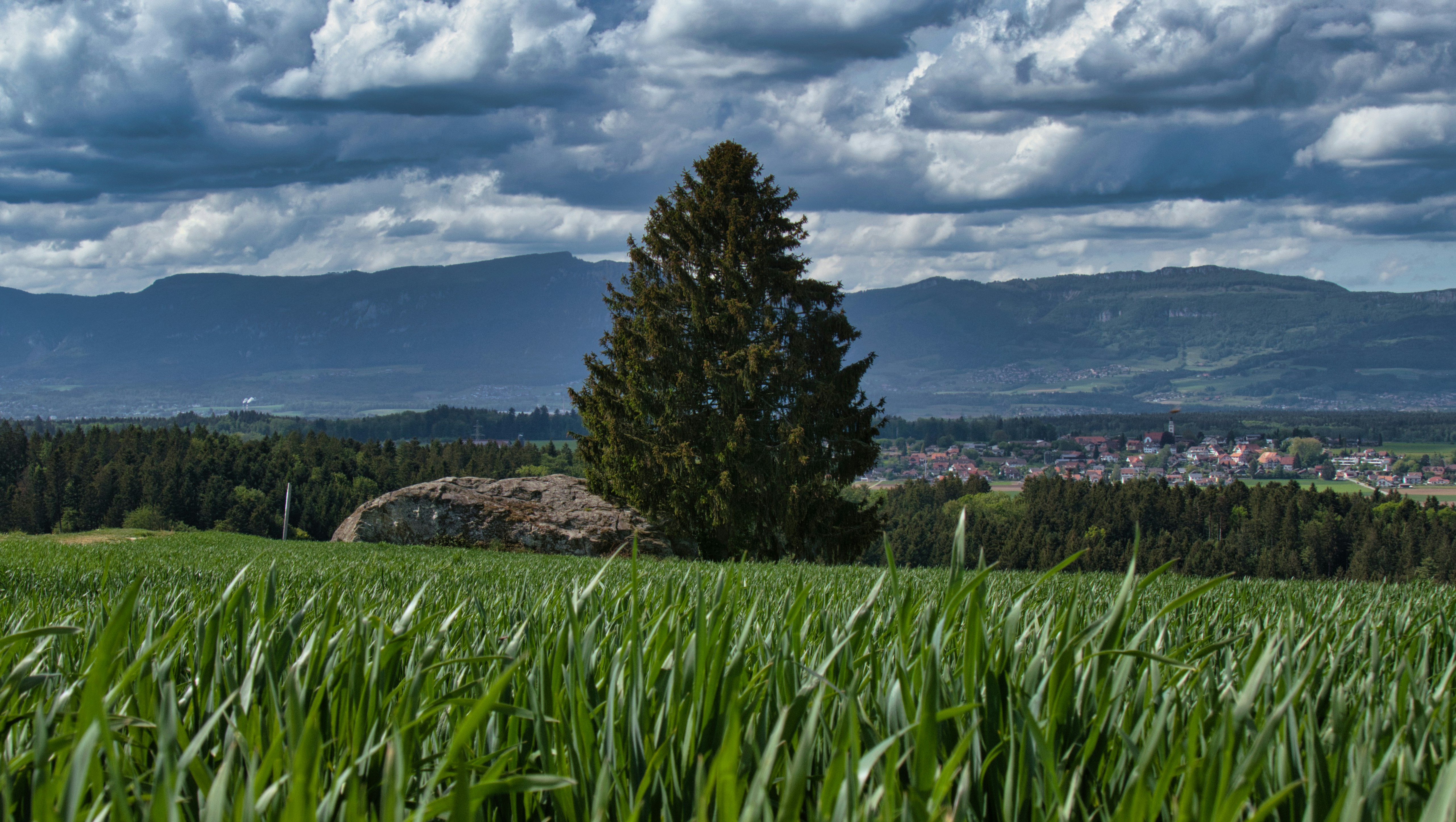Glacial erratic on the steinhof with dramatic clouds in the background and view on the Jura