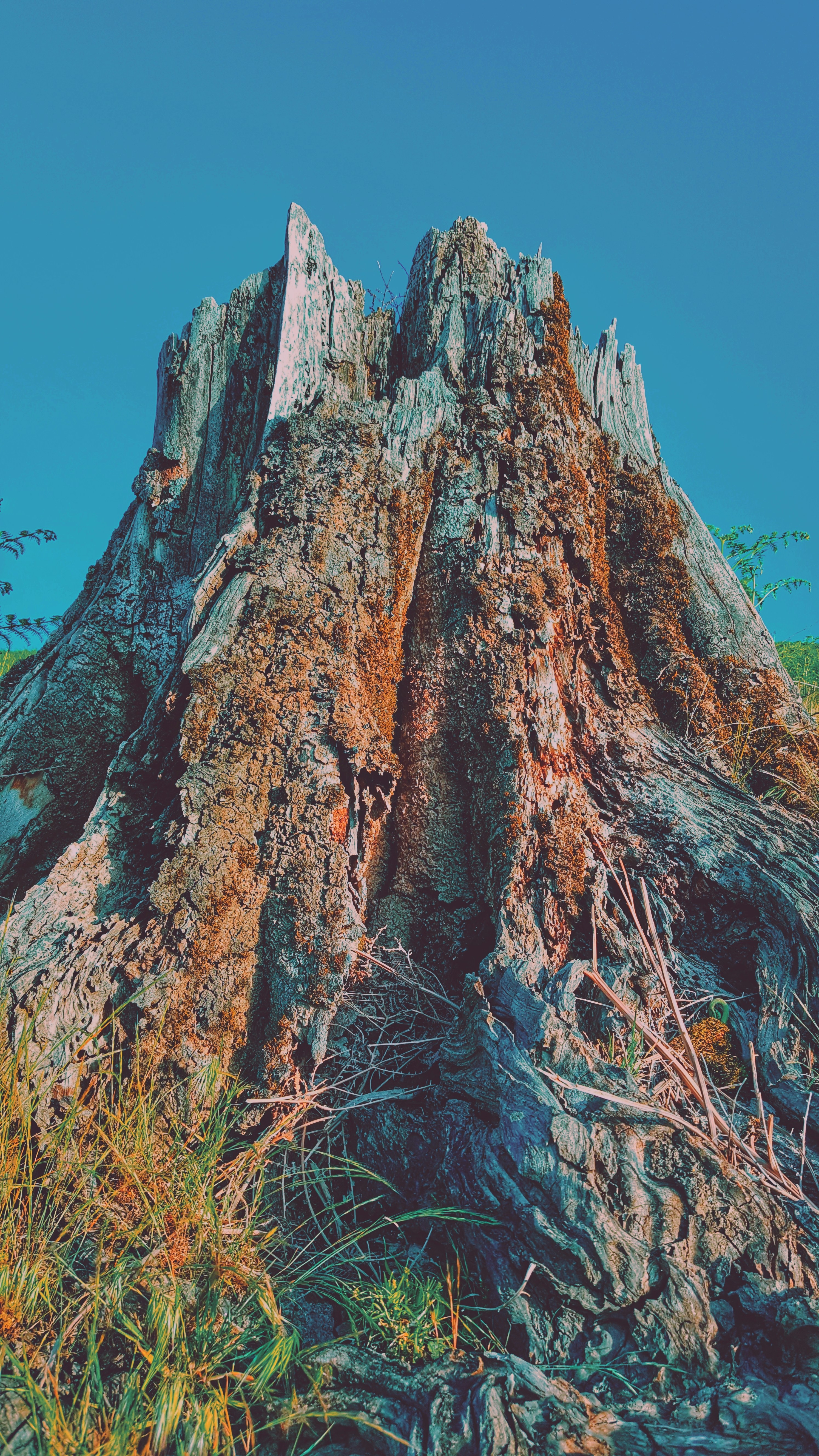 Ancient Sentinel: A Weathered Spire Rising from Earth