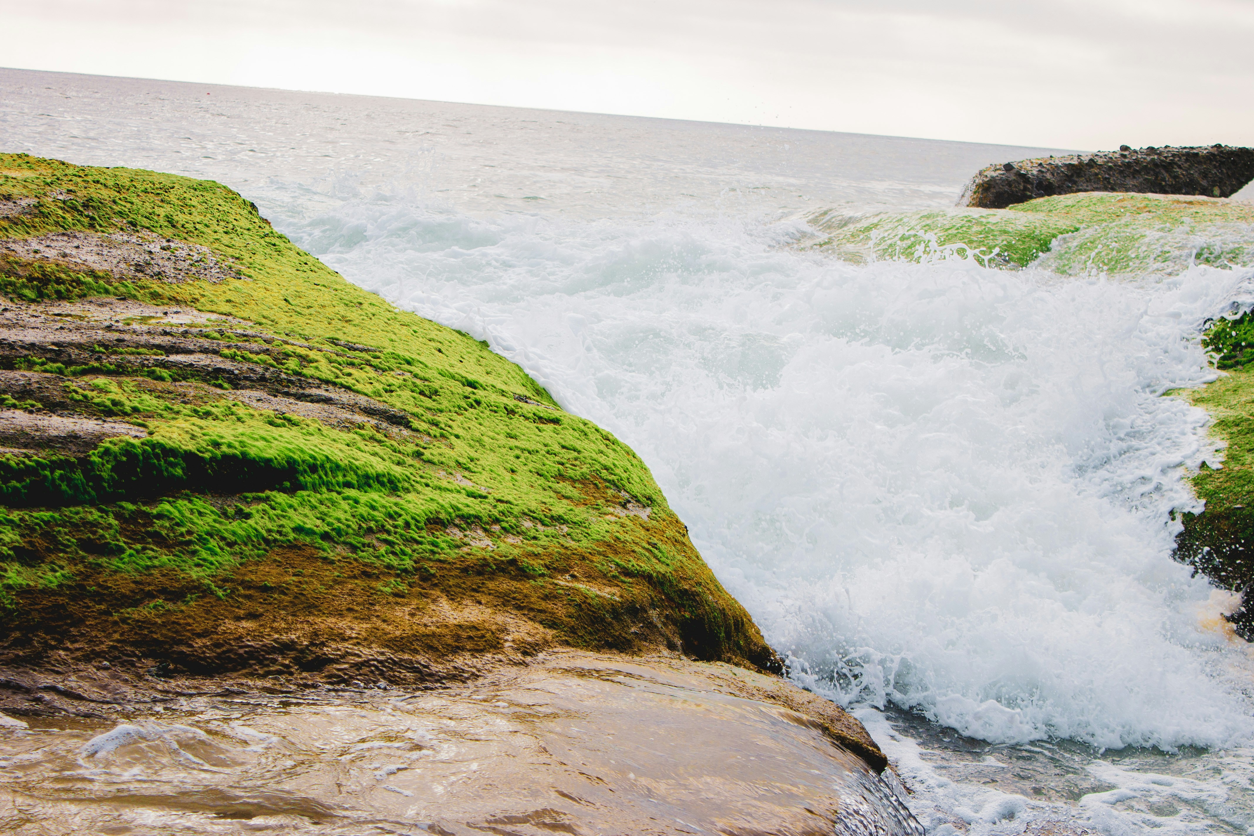 Photo by Emmanuel Olguín with Canon EOS 1100D