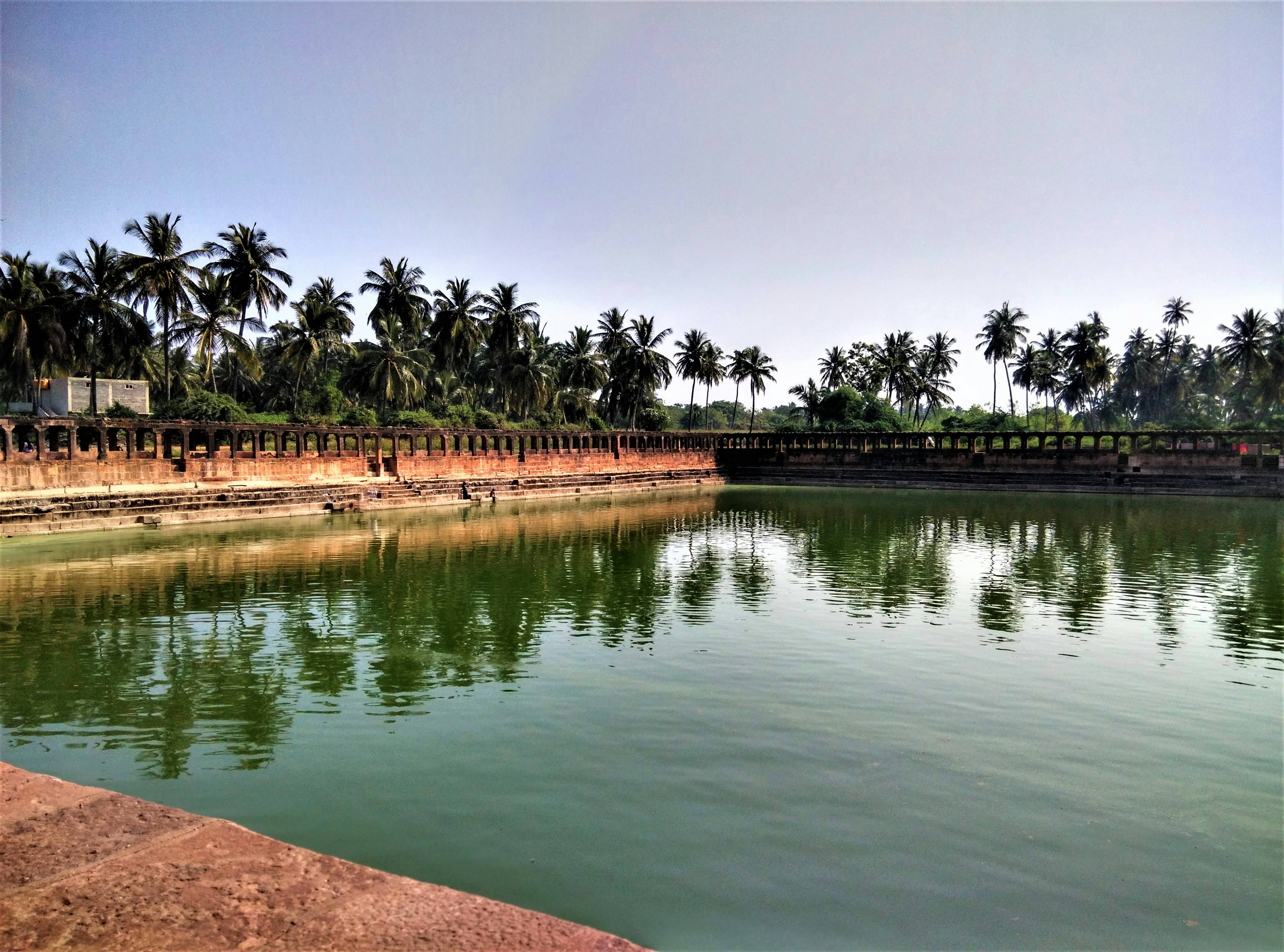 Palm trees line the edge of a tranquil water reservoir under a clear sky.
