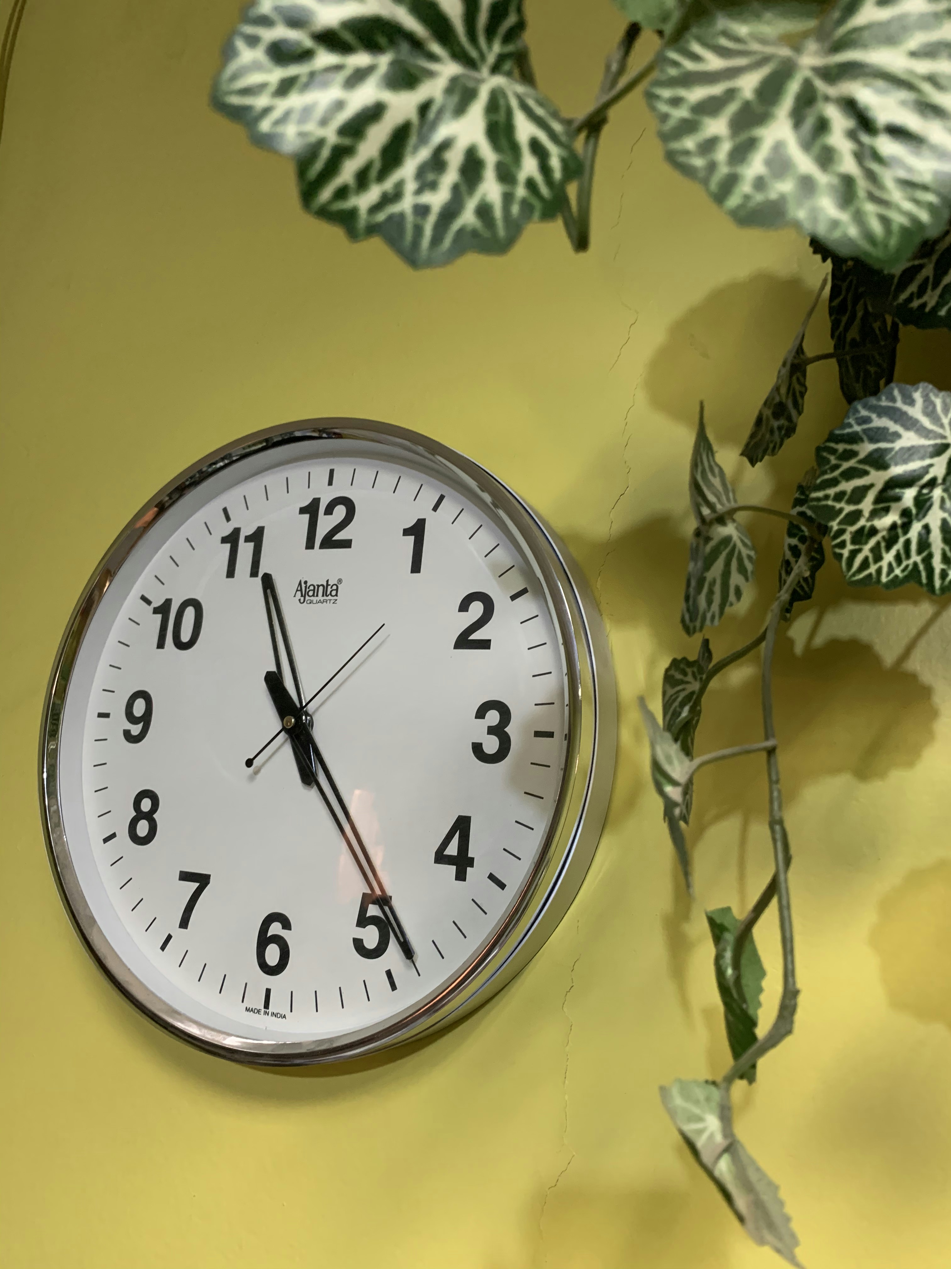 Ticking Timekeeper Beneath Ivy on a Sunlit Yellow Wall
