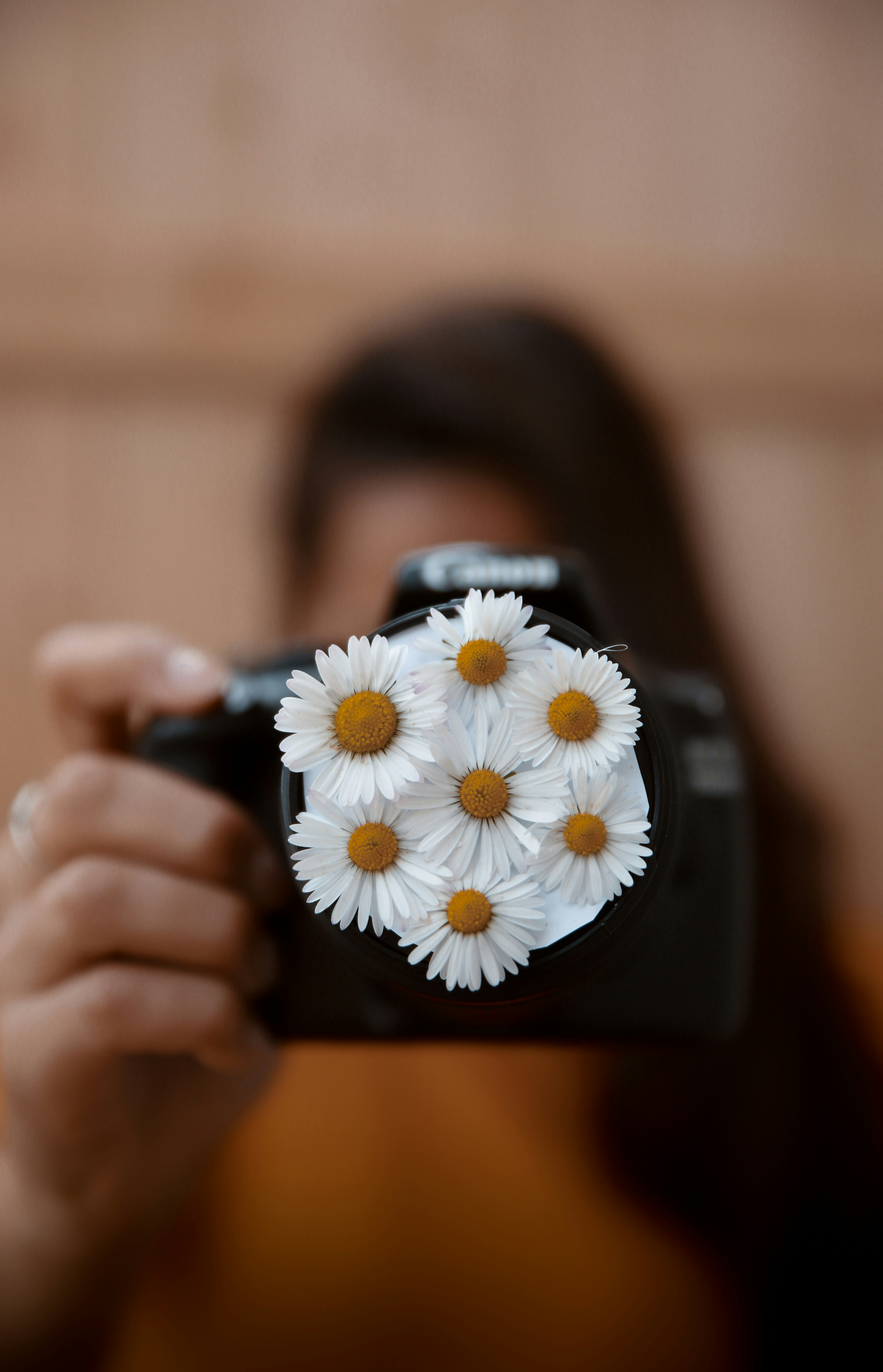 A camera adorned with daisies, held by a person, blending technology and nature harmoniously.