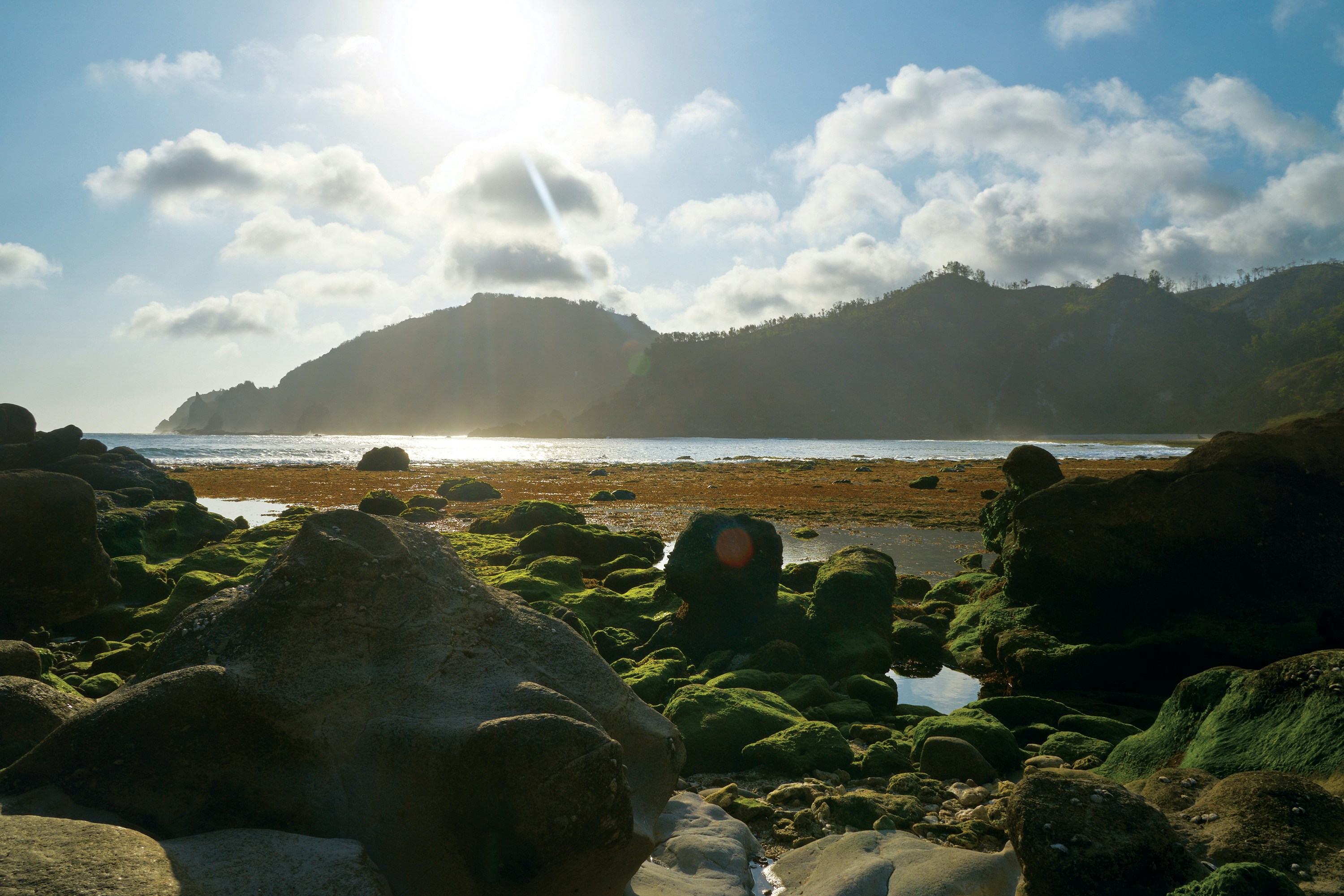 Rocky shoreline with green algae under a bright sun at Wediombo Beach, framed by distant mountains and a cloudy sky.