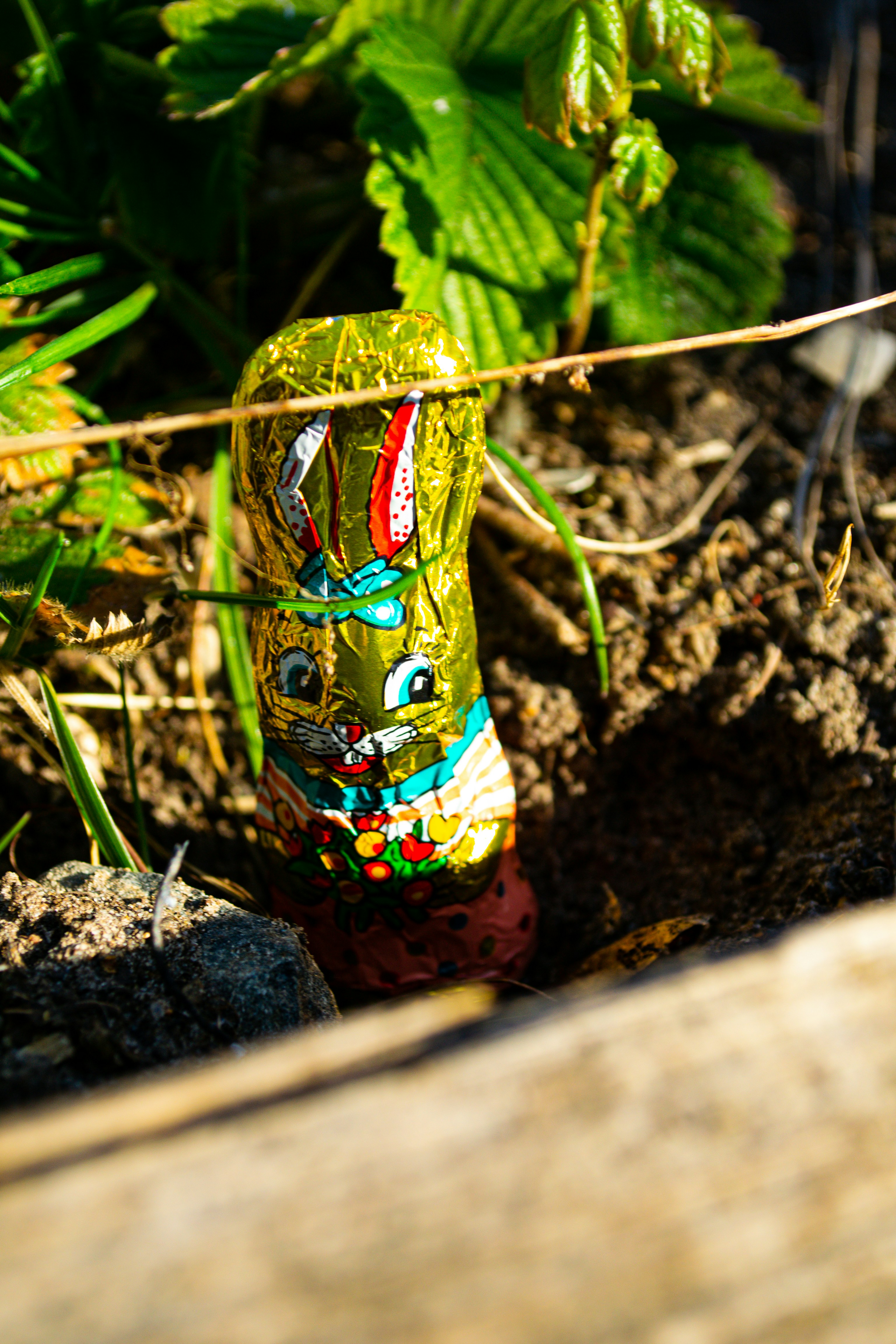 Gold-Wrapped Bunny in the Garden Bed