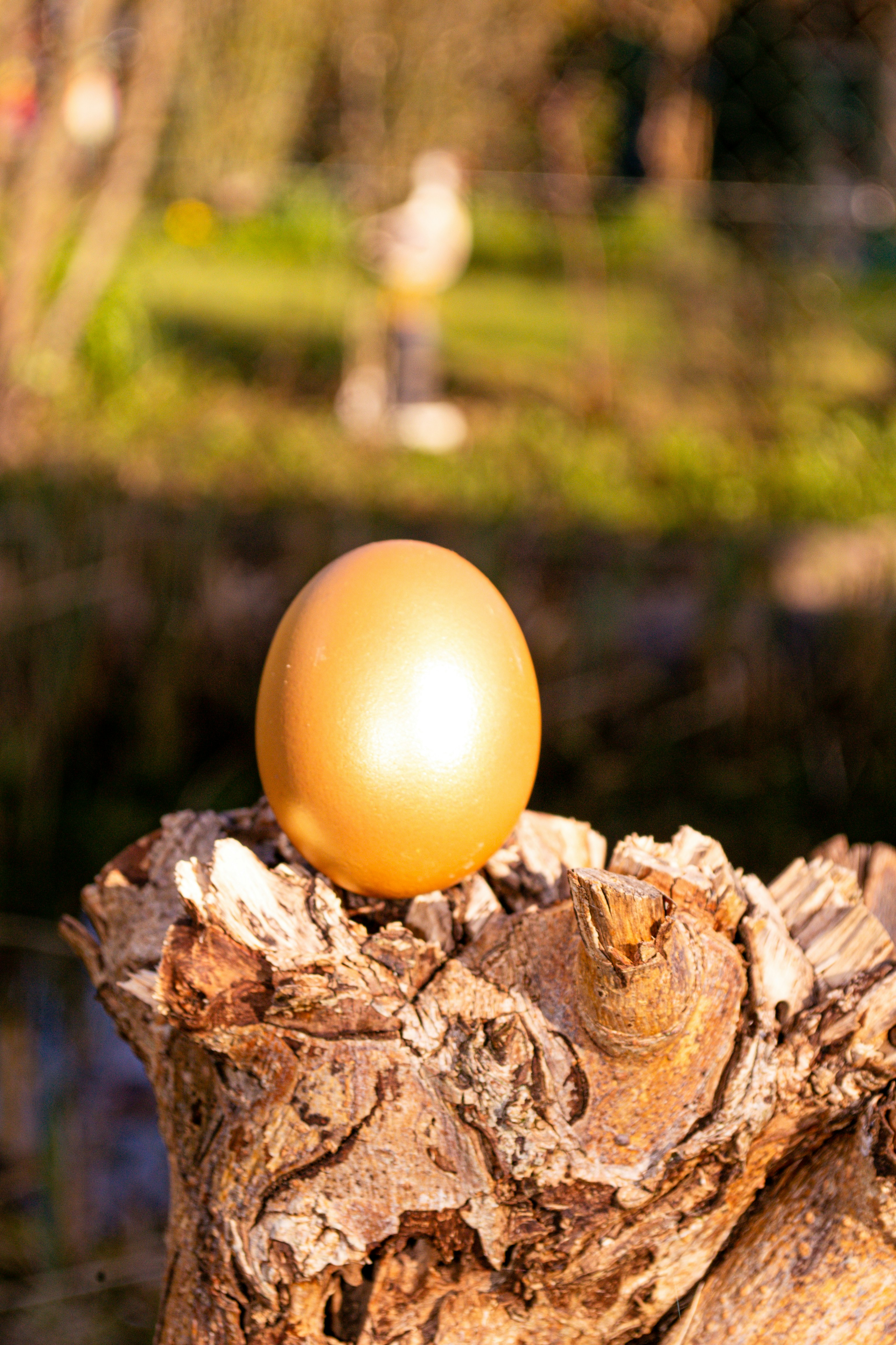 A golden egg rests atop a gnarled tree stump, contrasting with the blurred greenery in the background. The scene evokes a sense of whimsy and curiosity.