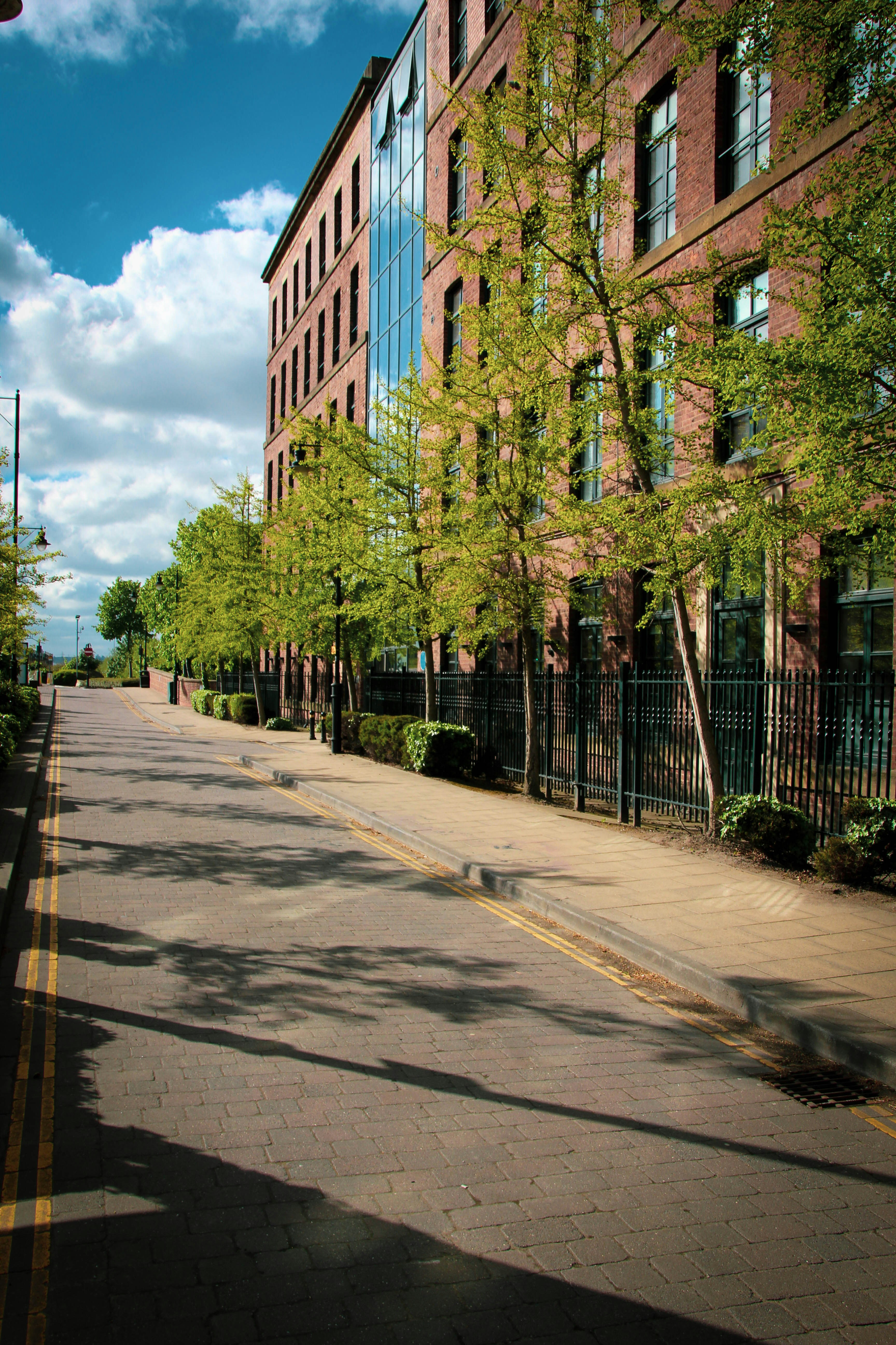A tree-lined street leading up to a contemporary brick building, showcasing the harmony between nature and urban architecture.