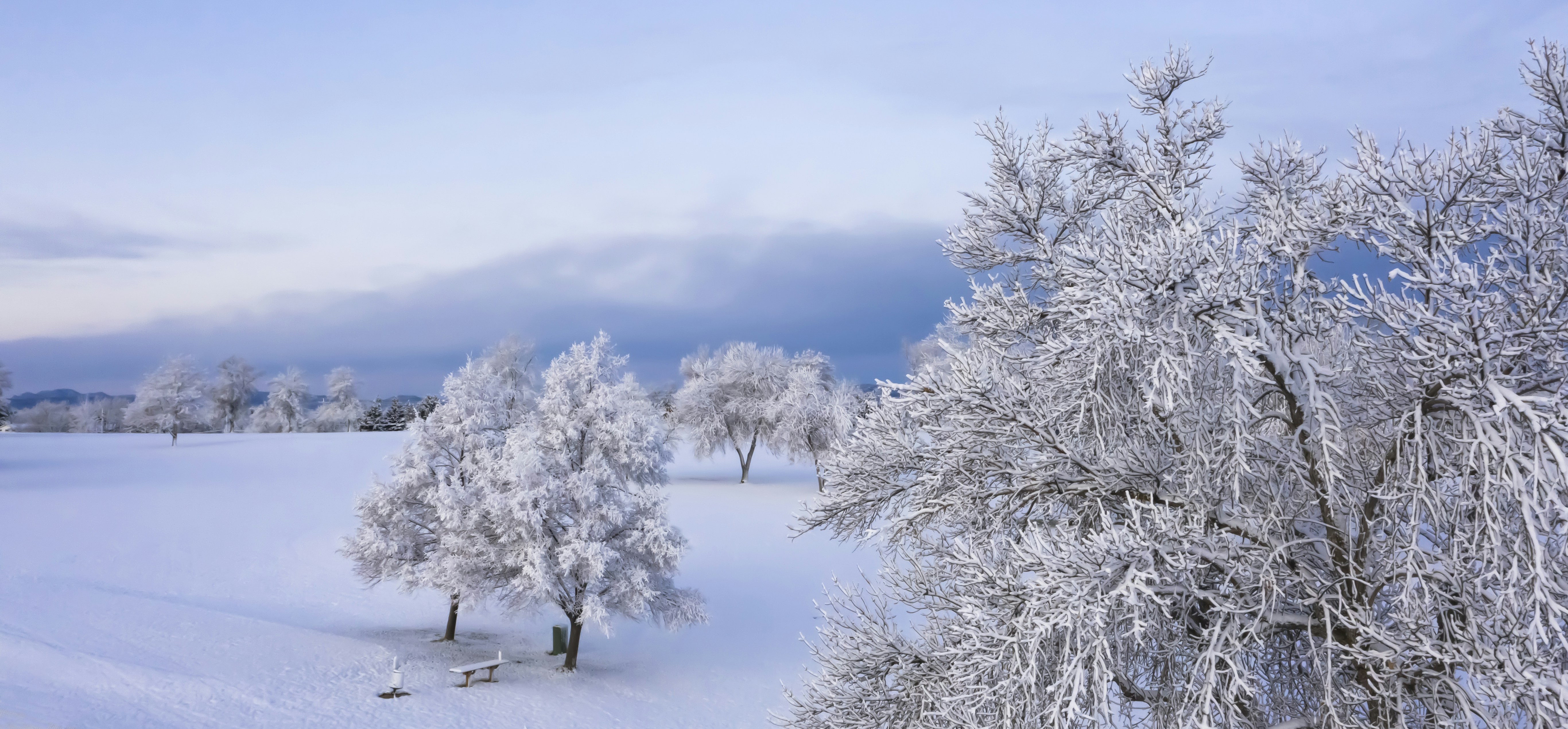 John Phillips (@ironhorse66) | Komunitas Foto Unsplash