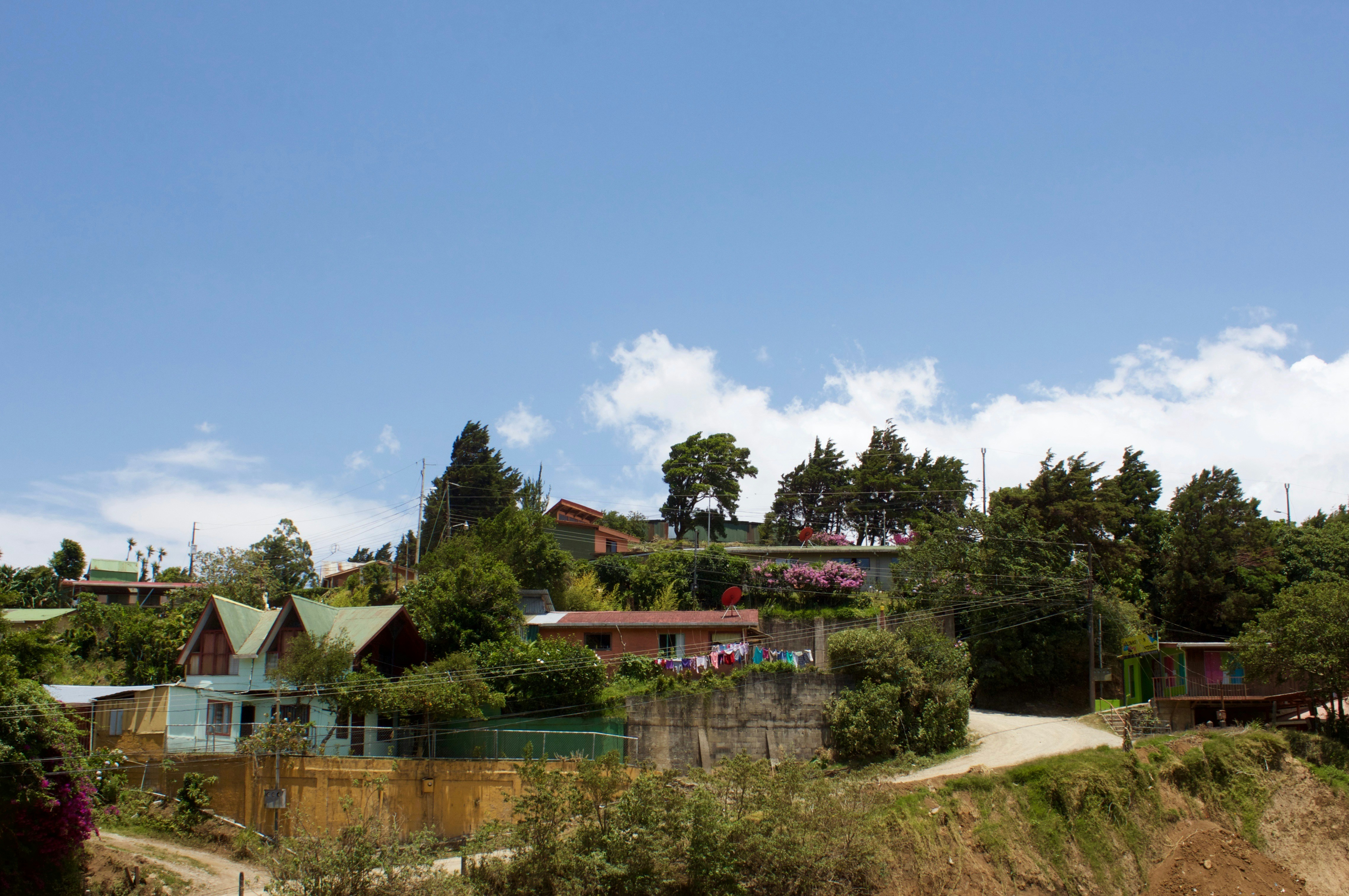 Houses nestled among trees on a sunny hillside beneath a bright blue sky.
